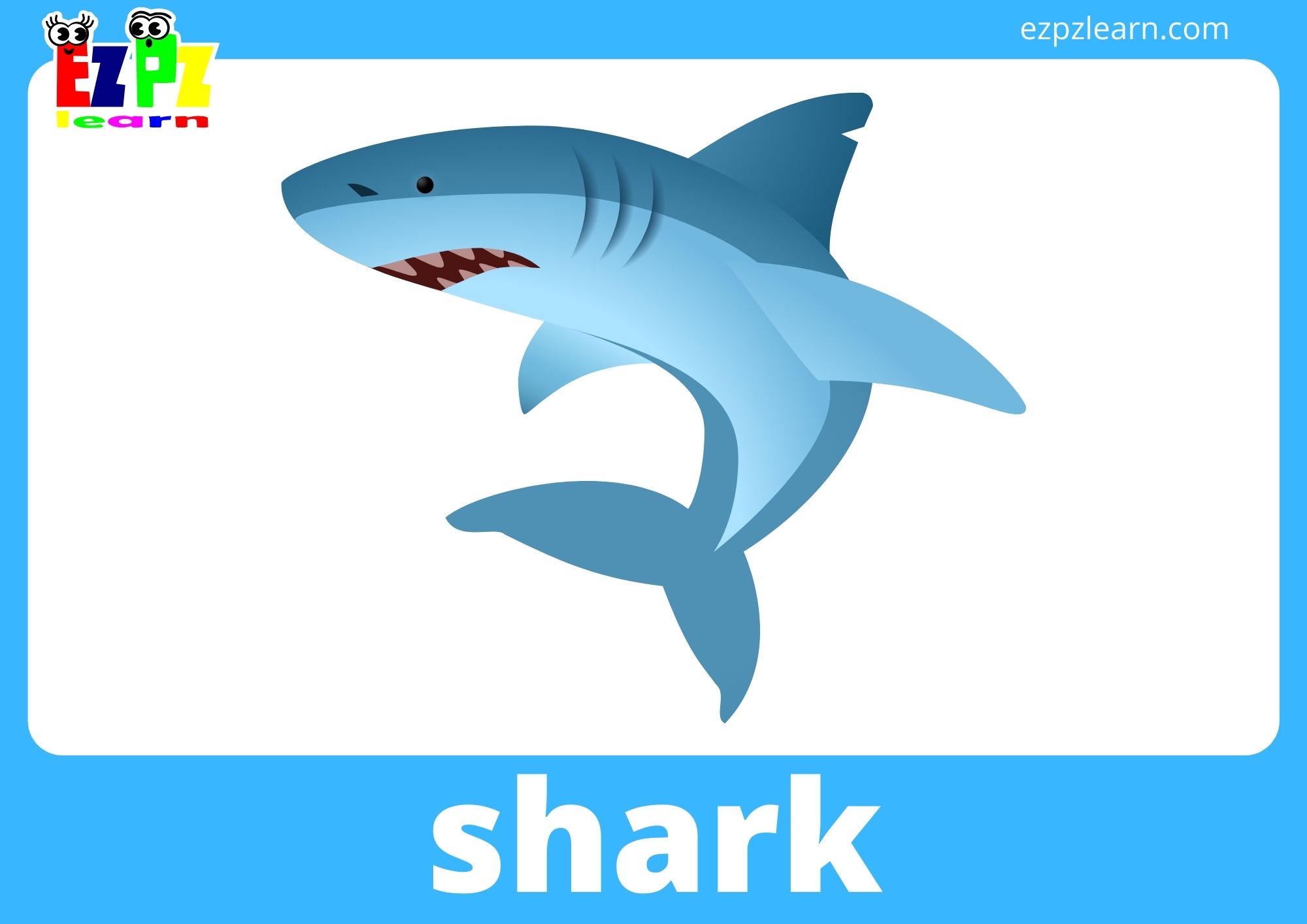 Sea Animal Flashcards With Words use online or PDF download 15 pages ...
