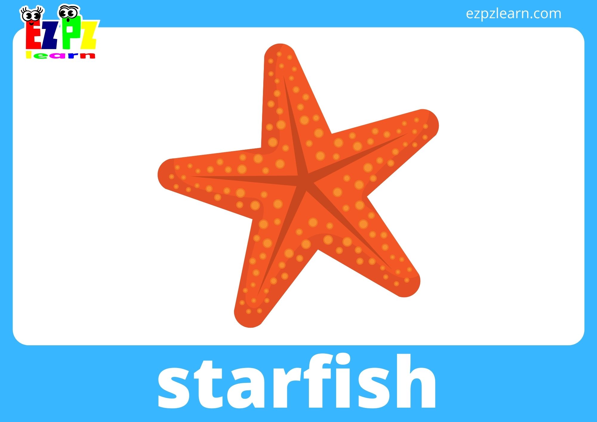 Sea Animal Flashcards With Words use online or PDF download 15 pages ...