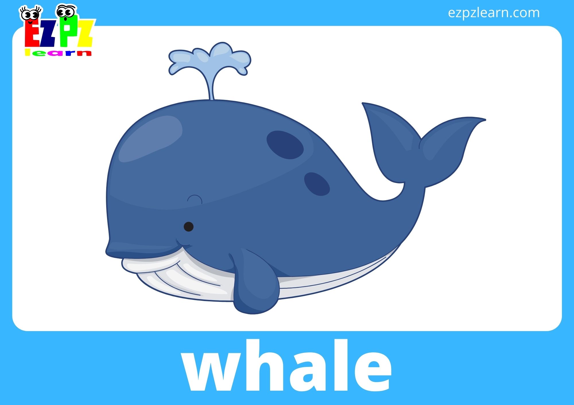 Sea Animal Flashcards With Words use online or PDF download 15 pages ...