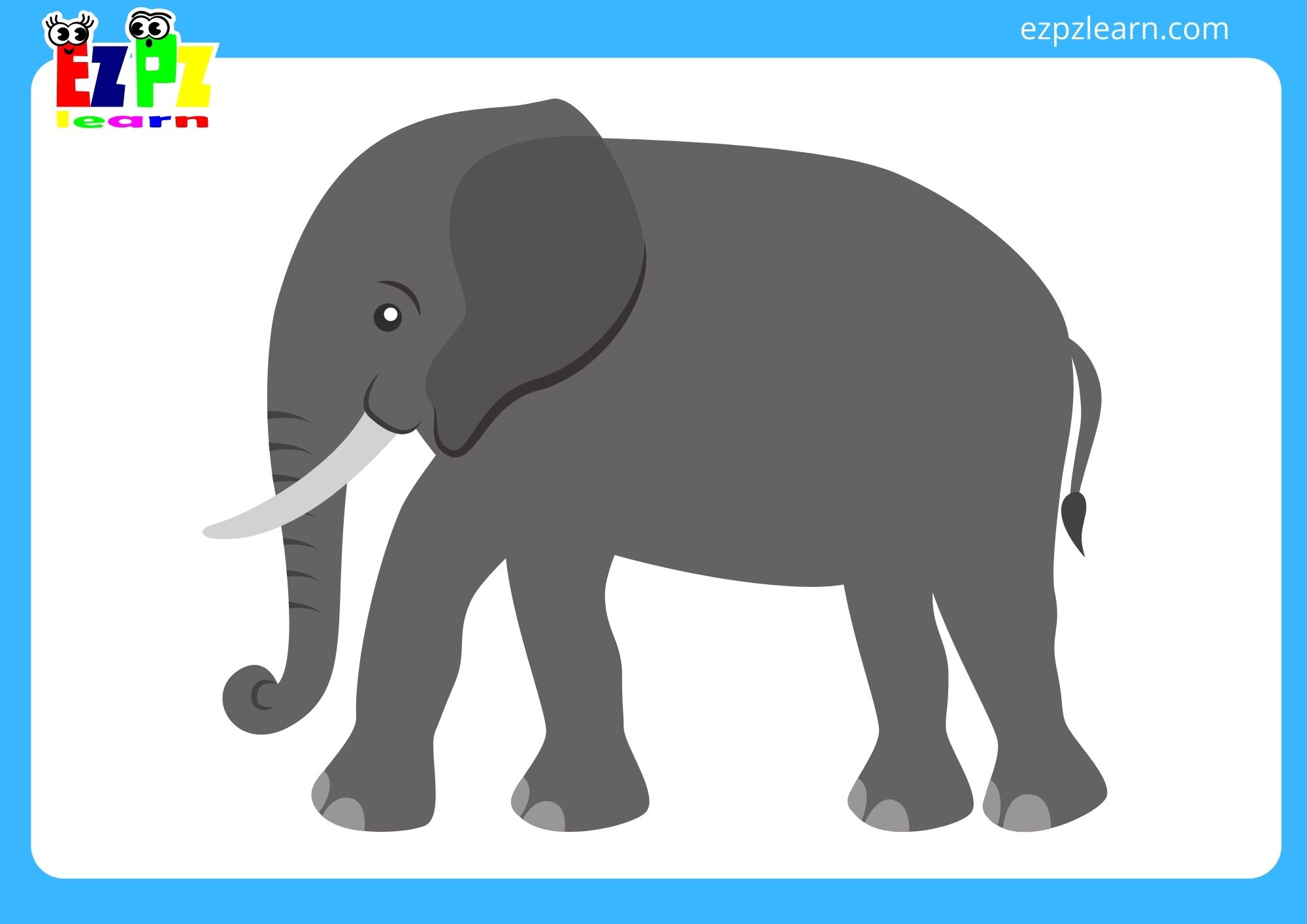 Wild Animal Flashcards No Words Contains 22 Pages use online or free ...