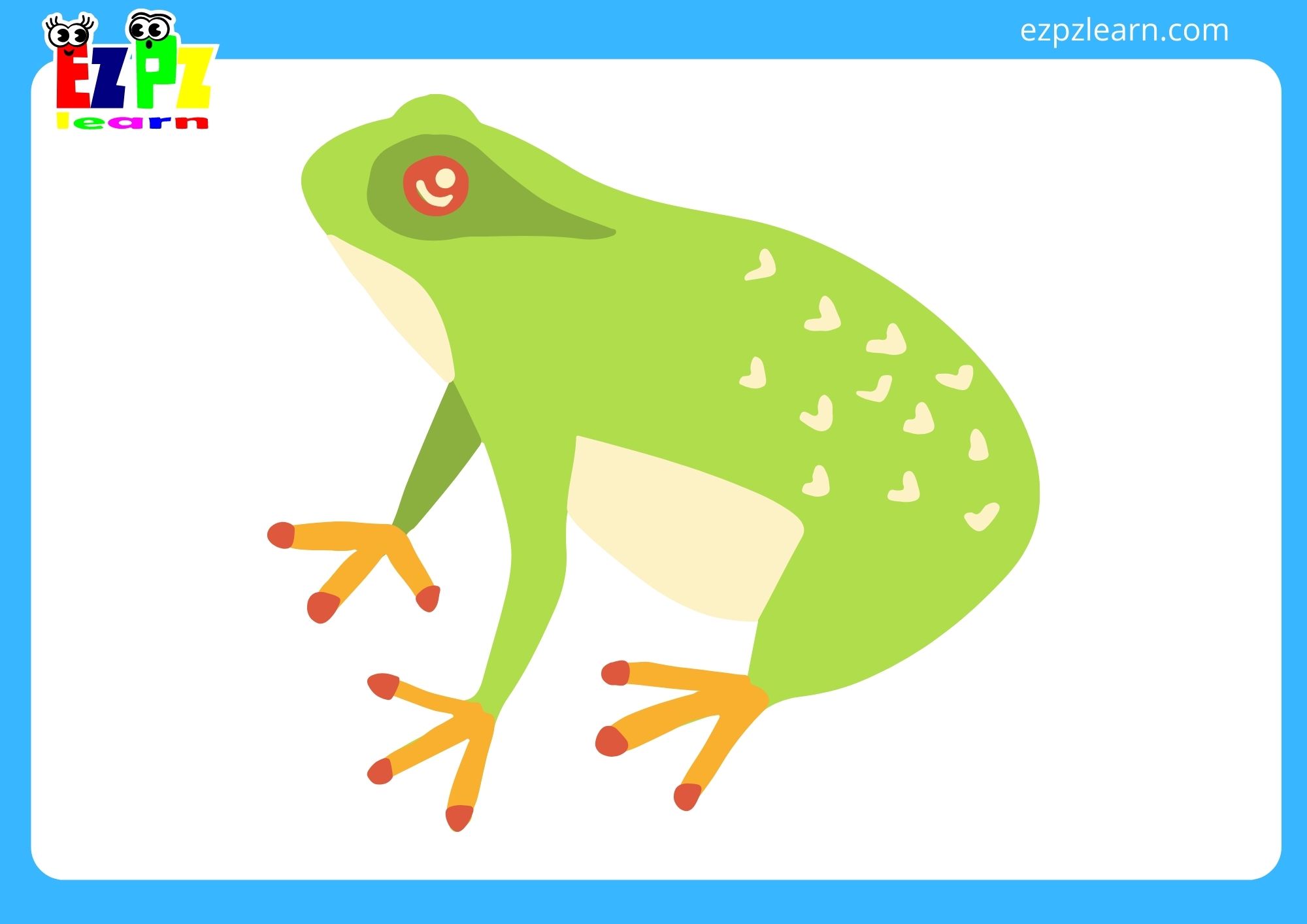 Wild Animal Flashcards No Words Contains 22 Pages use online or free ...