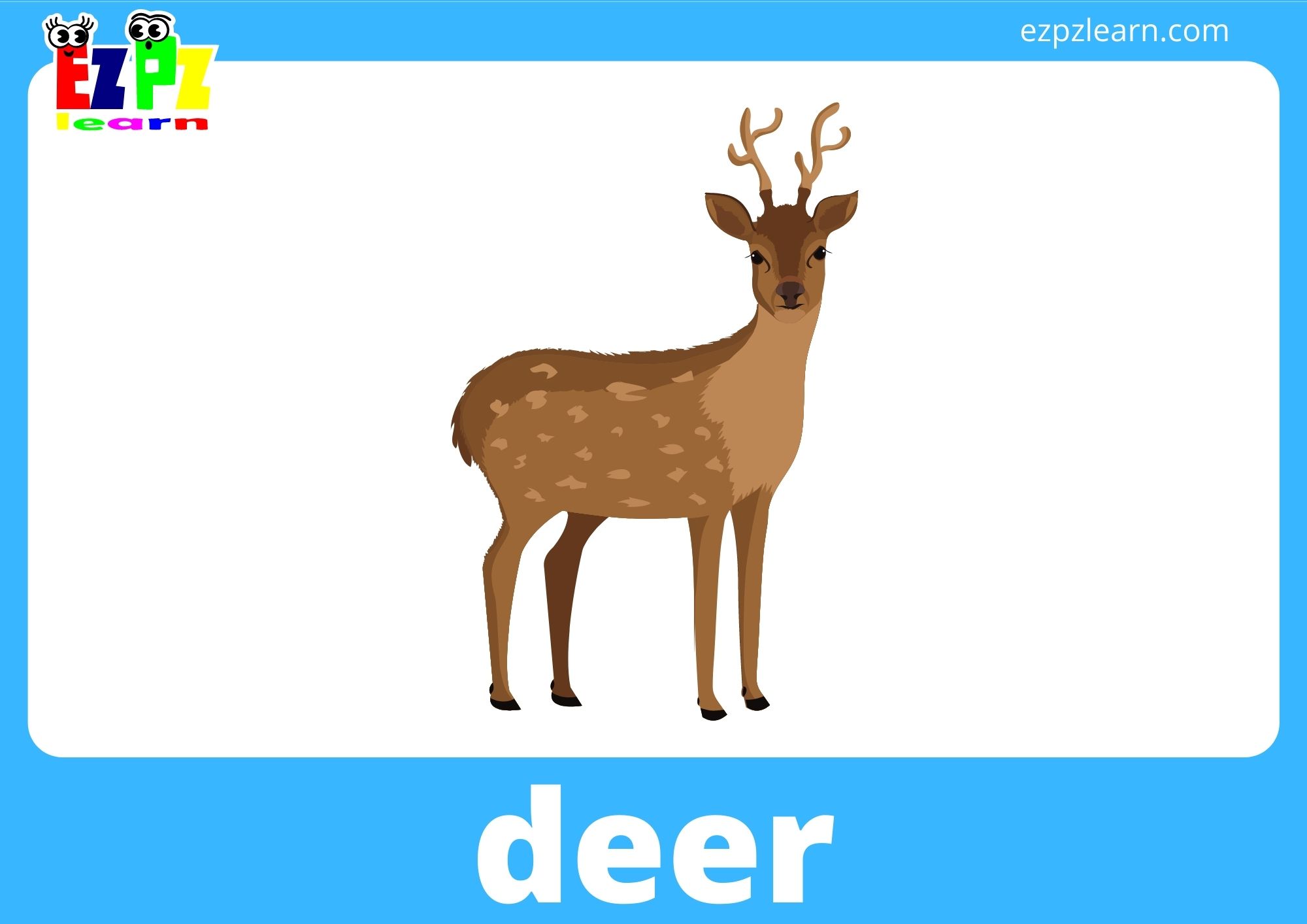 Wild Animal Flashcards With Words - Ezpzlearn.com