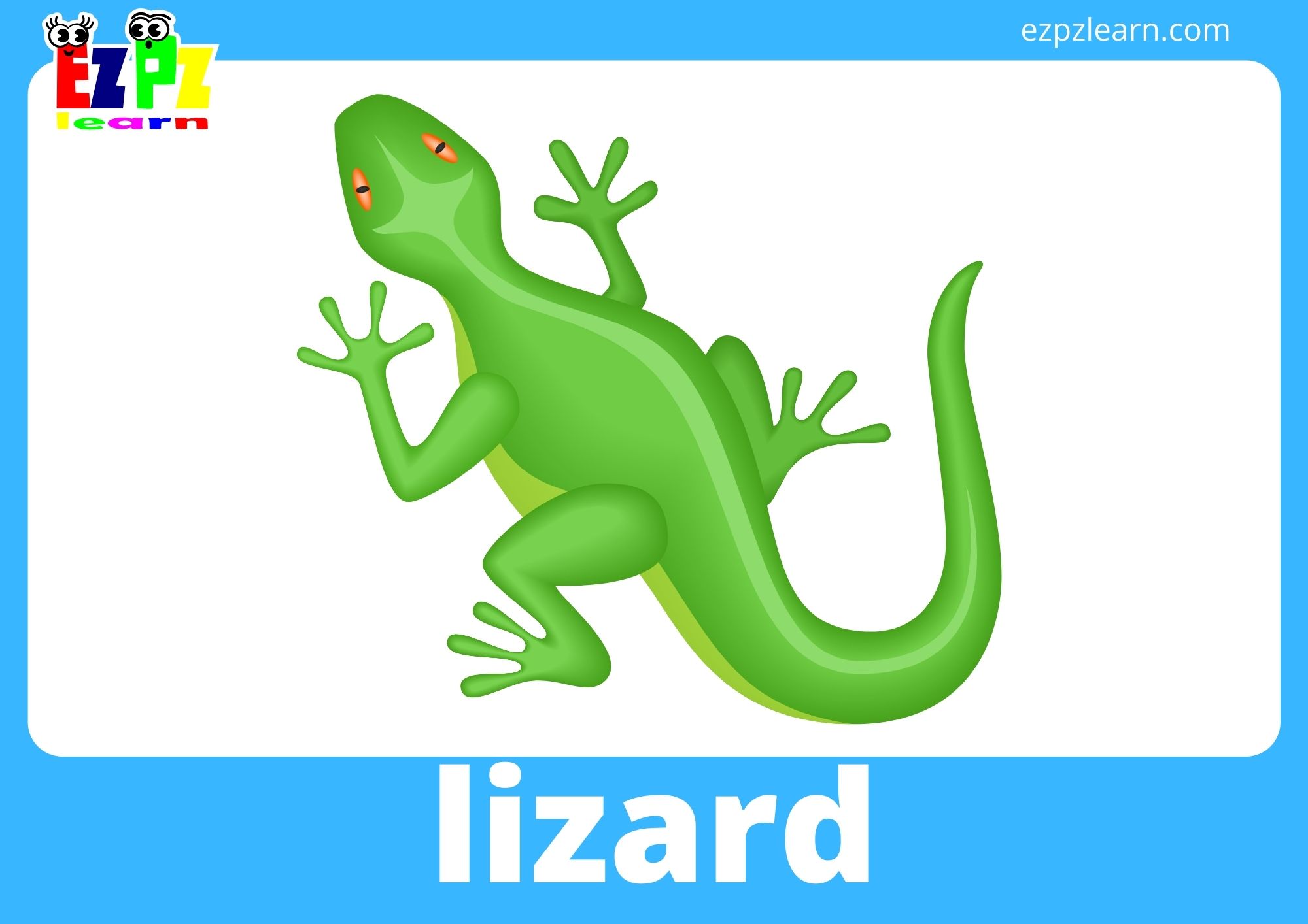 Wild Animal Flashcards With Words - Ezpzlearn.com