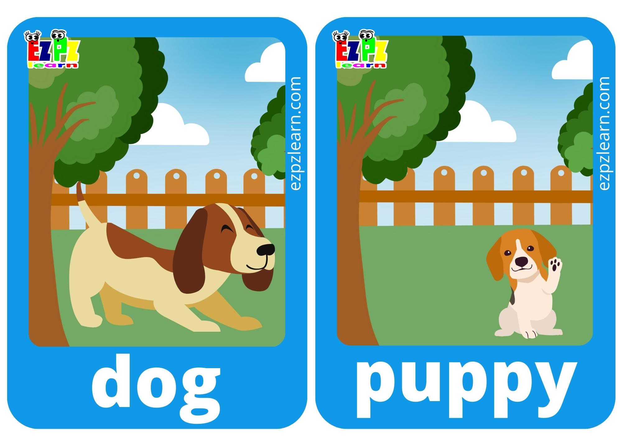 Animals and Their Young Mini Color Flashcards for Kindergarten and ...