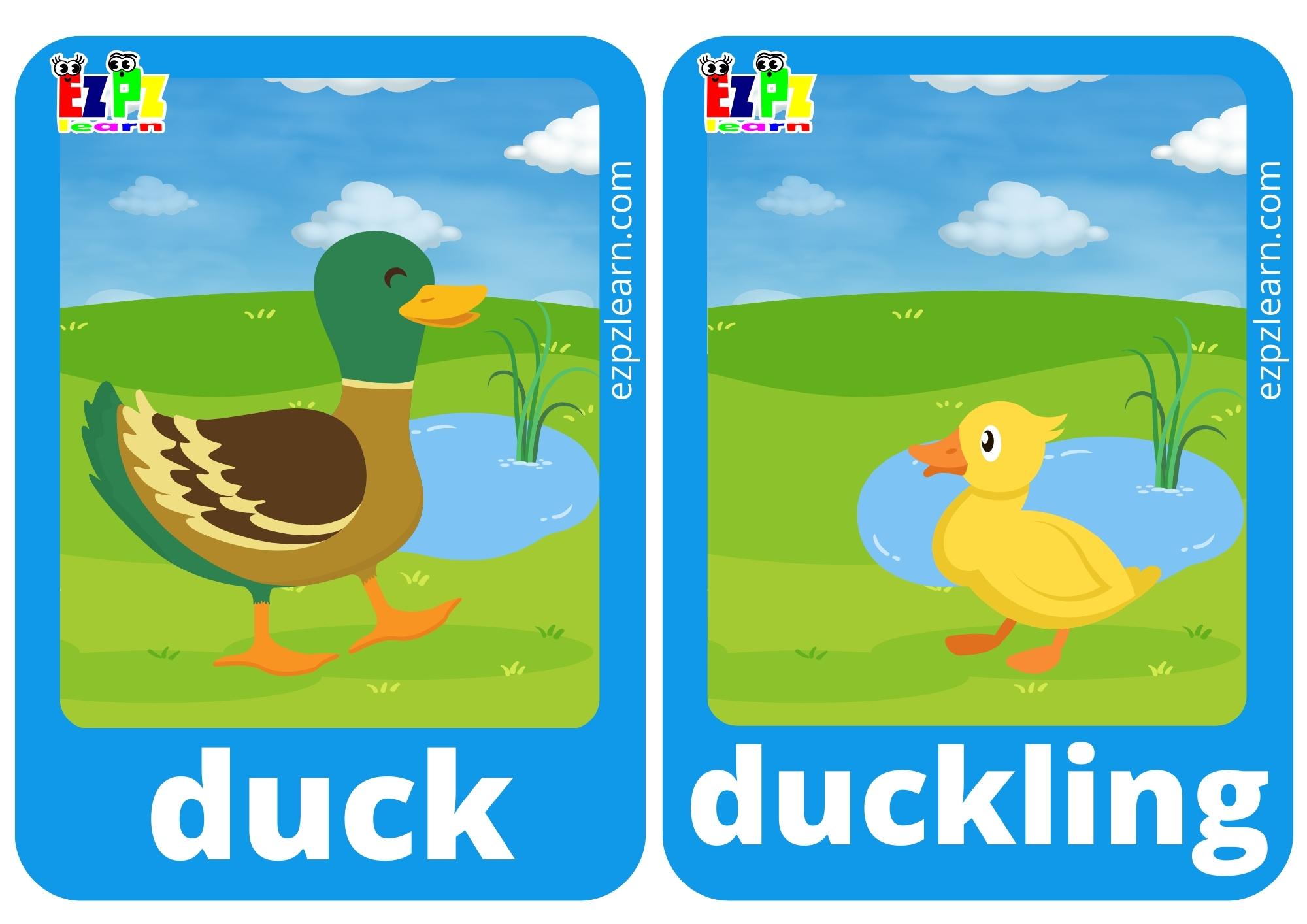 Animals and Their Young Mini Color Flashcards for Kindergarten and ...