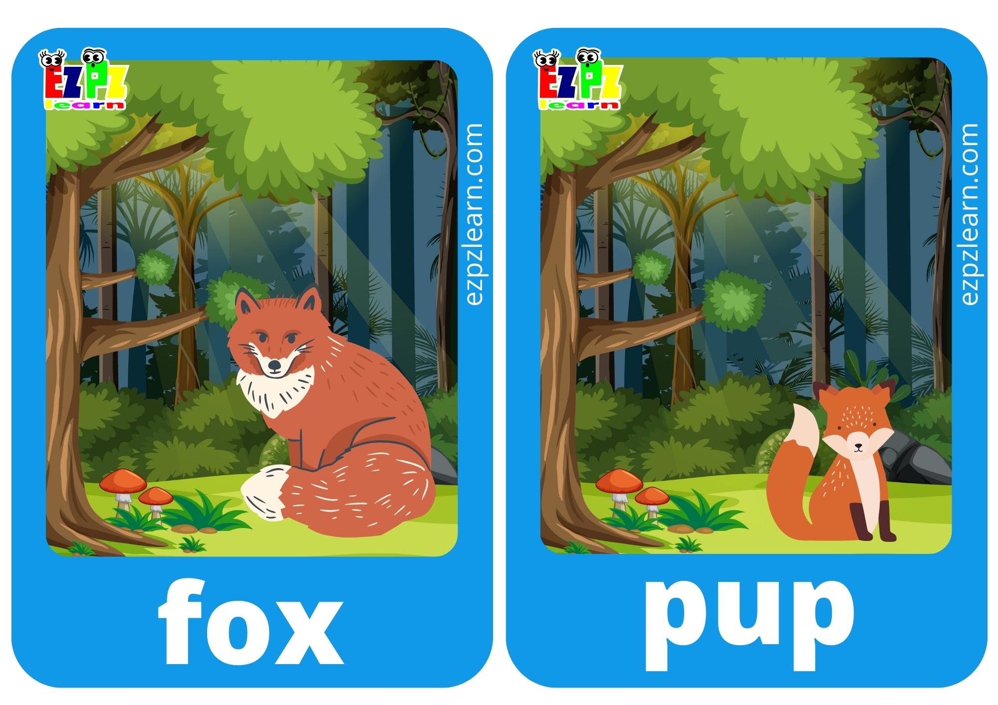 Animals and Their Young Mini Color Flashcards for Kindergarten and ...