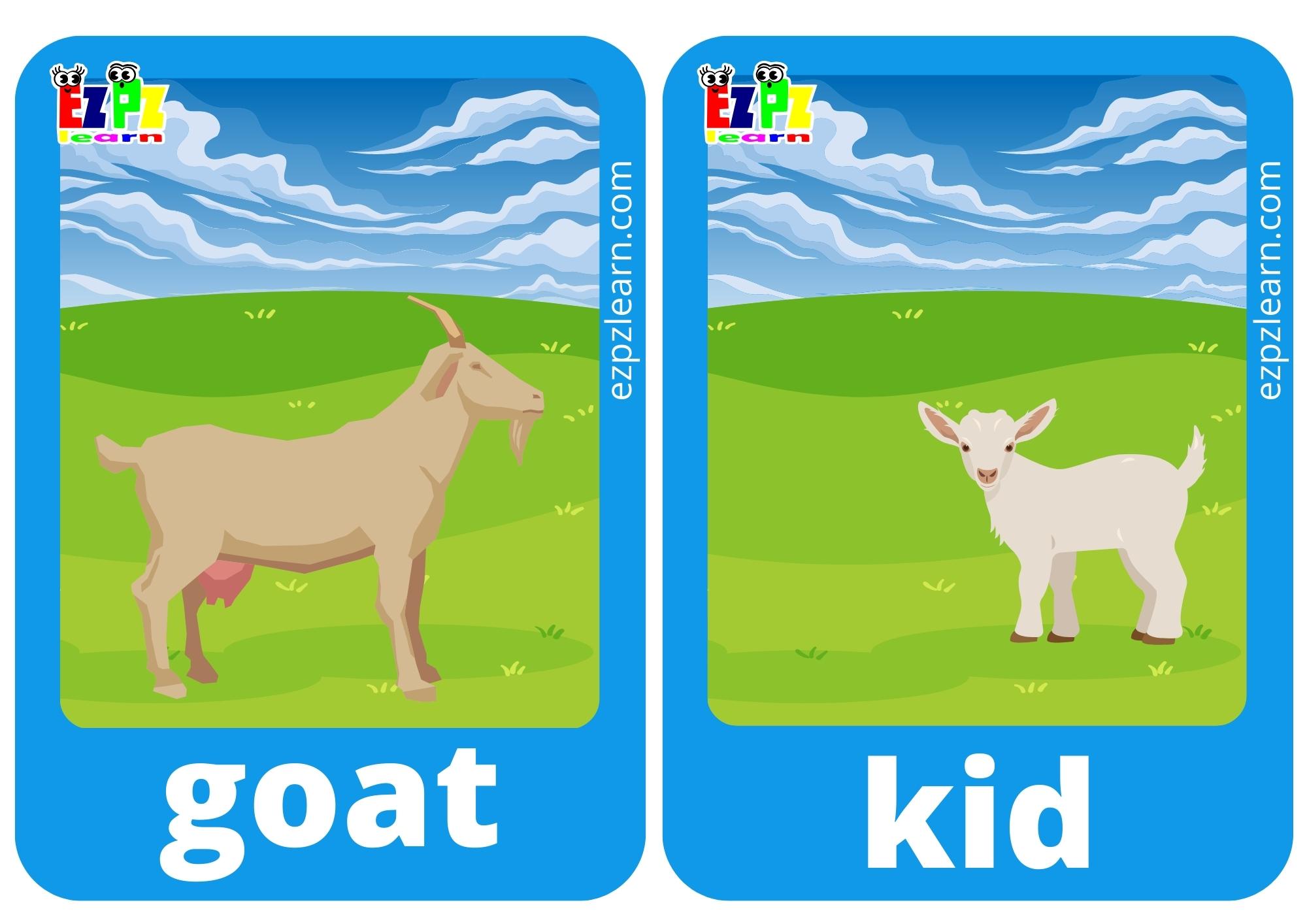 Animals and Their Young Mini Color Flashcards for Kindergarten and ...