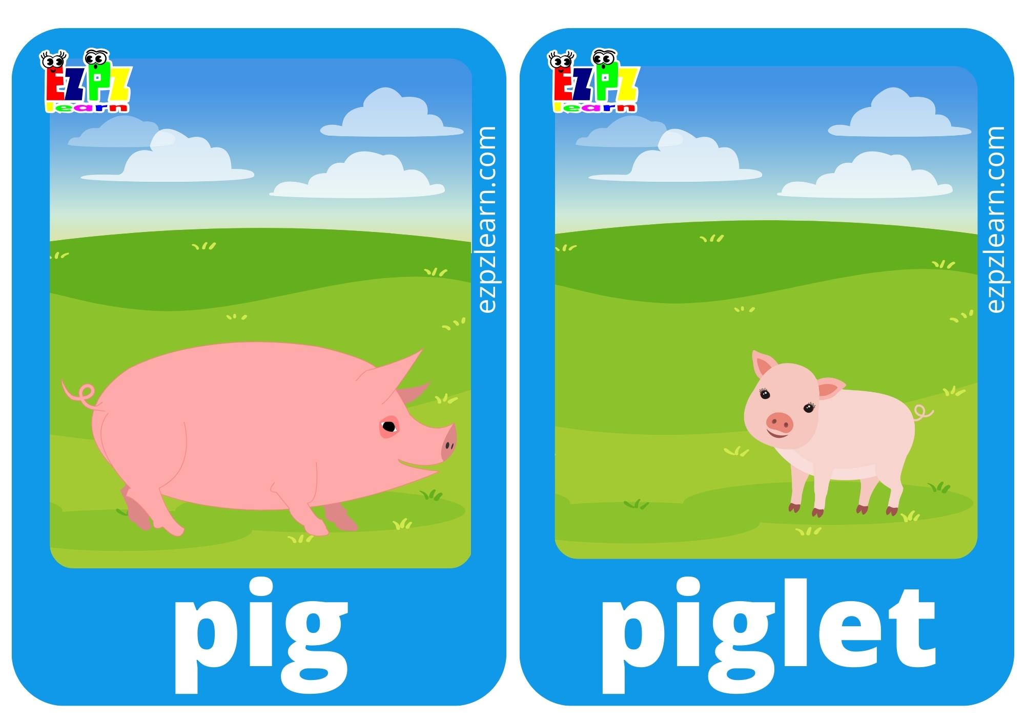 Animals and Their Young Mini Color Flashcards for Kindergarten and ...