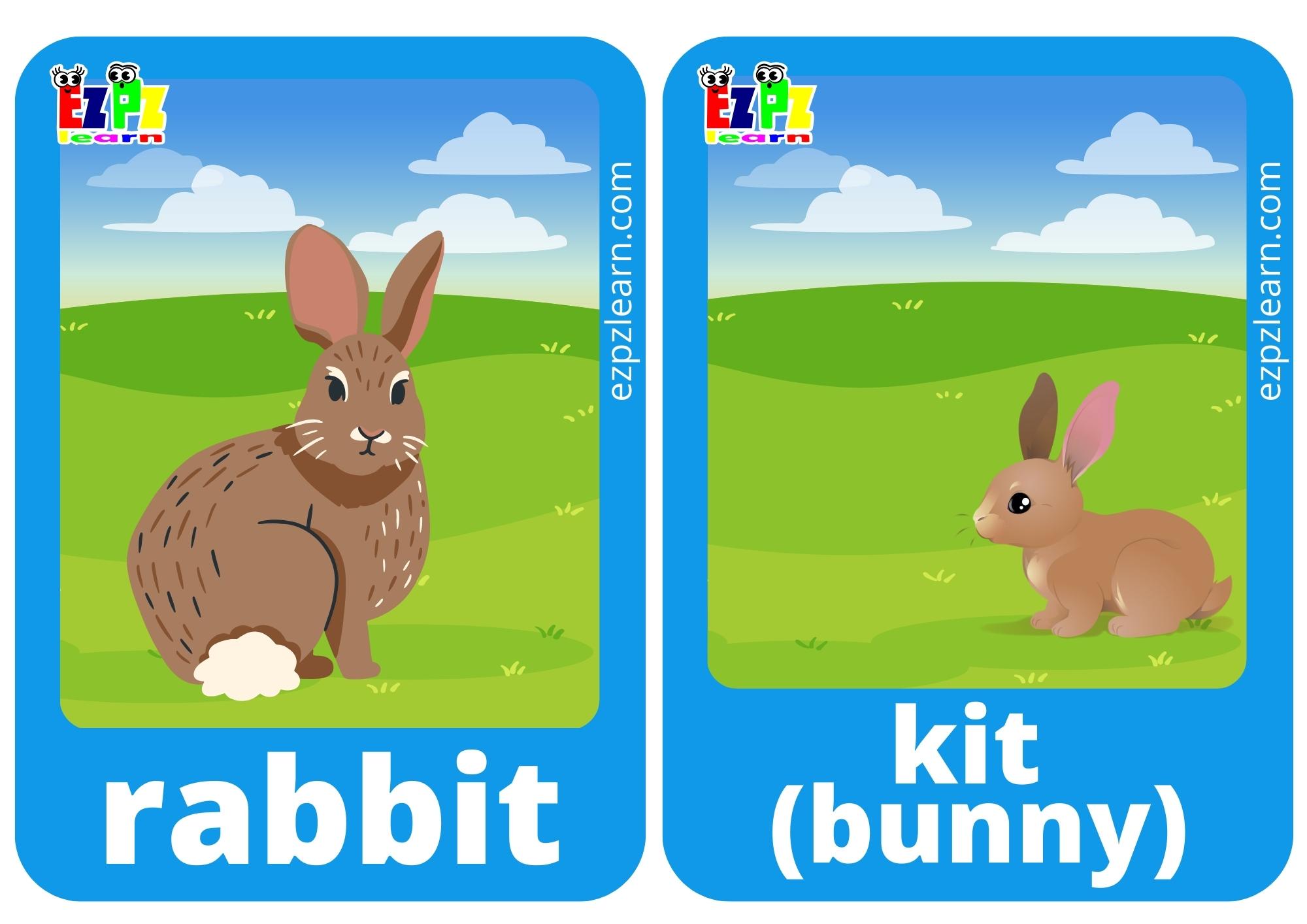 Animals and Their Young Mini Color Flashcards for Kindergarten and ...