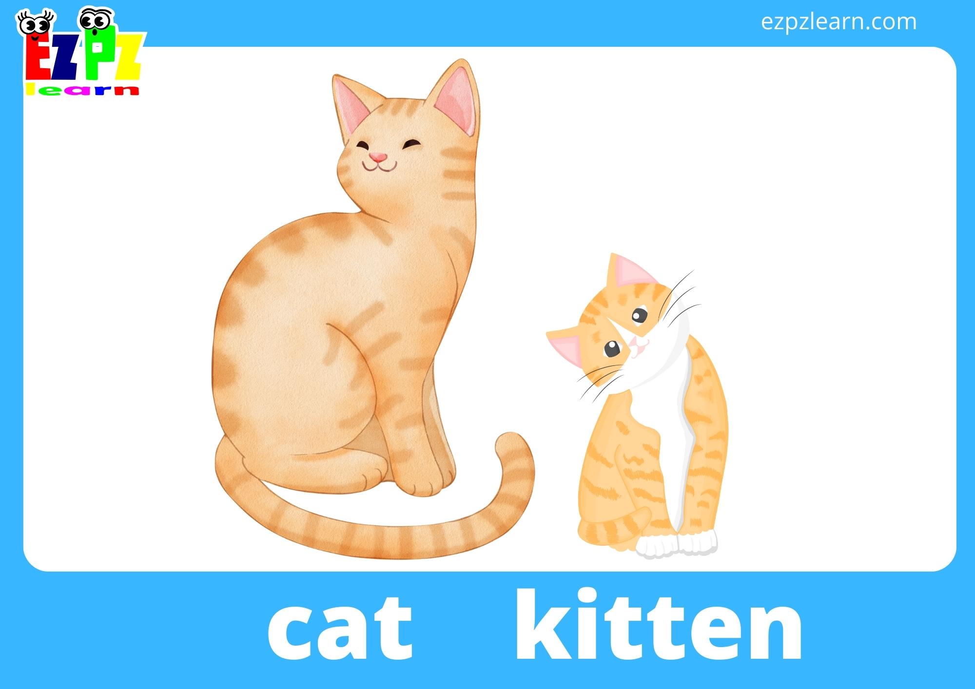 Animals and Their Young Flashcards for Kindergarten and English ...