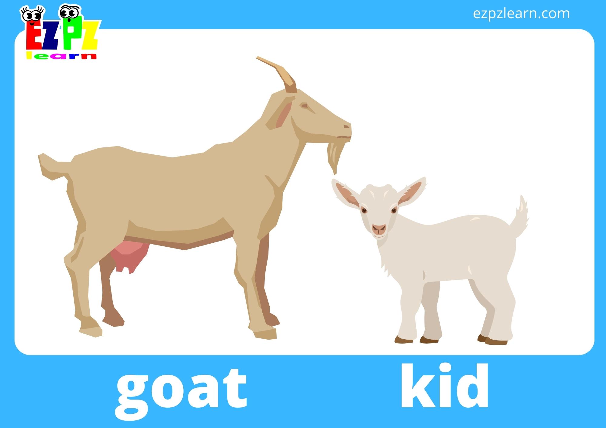 Animals and Their Young Flashcards for Kindergarten and English ...