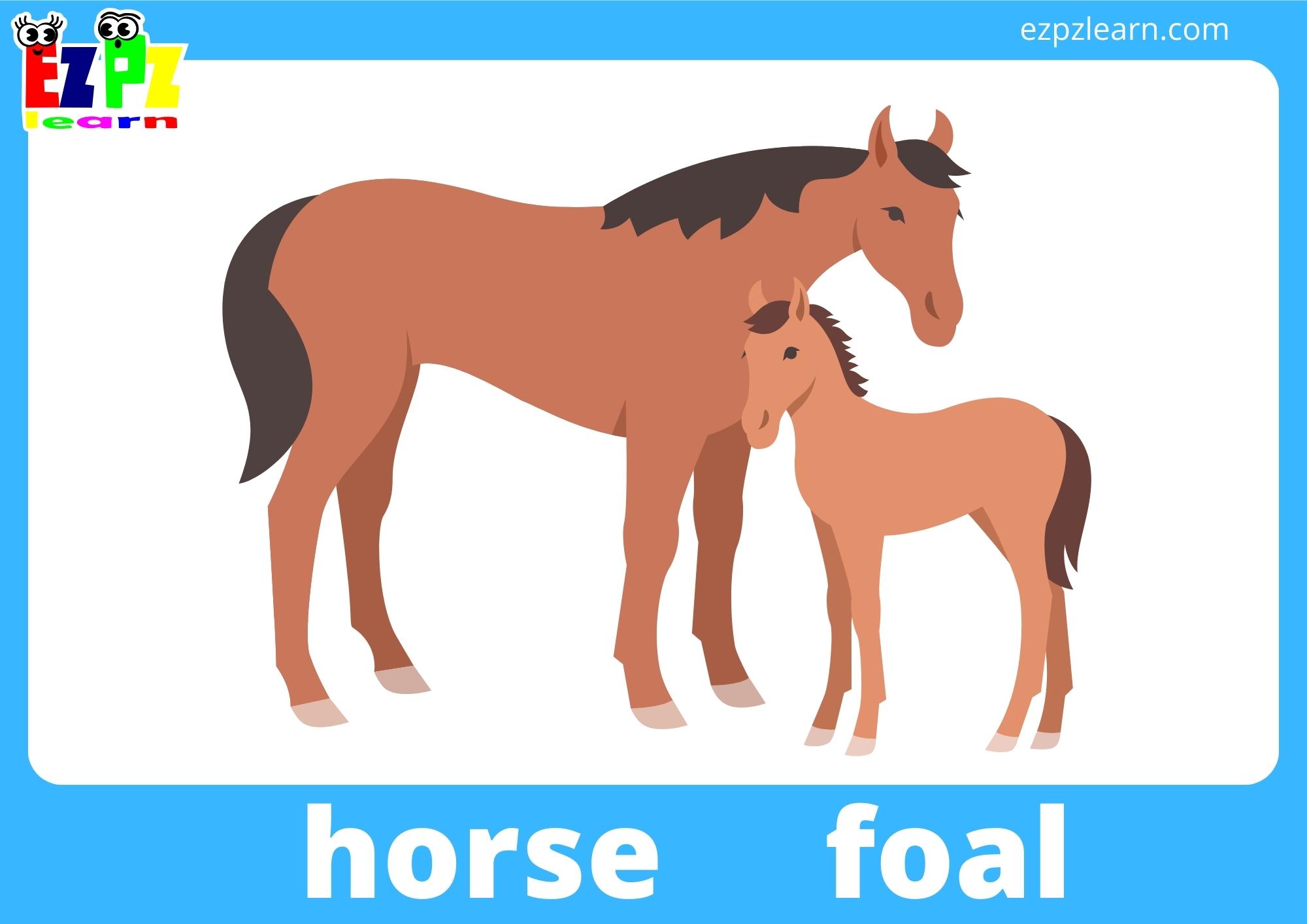 Animals and Their Young Flashcards for Kindergarten and English ...