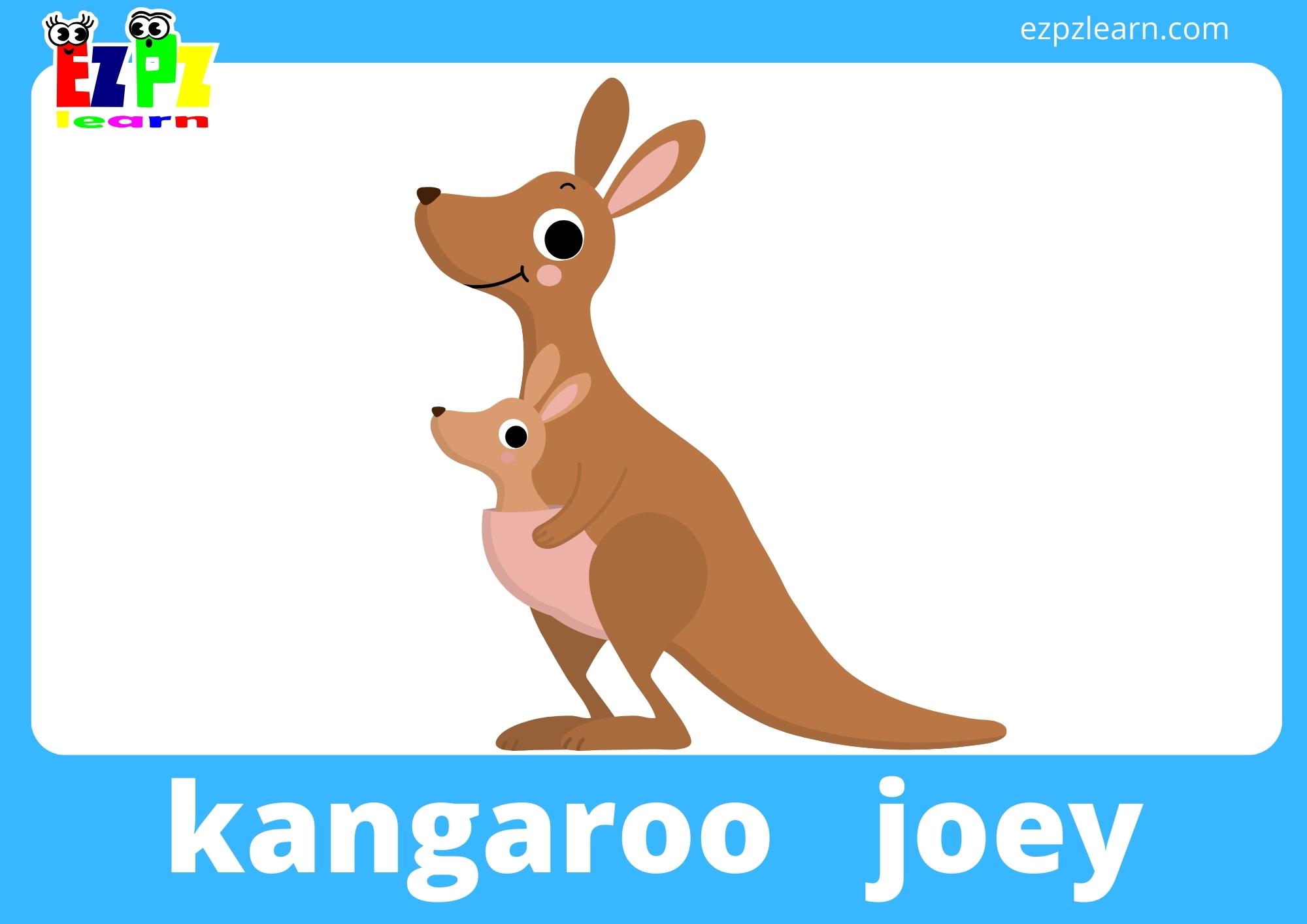 Animals and Their Young Flashcards for Kindergarten and English ...