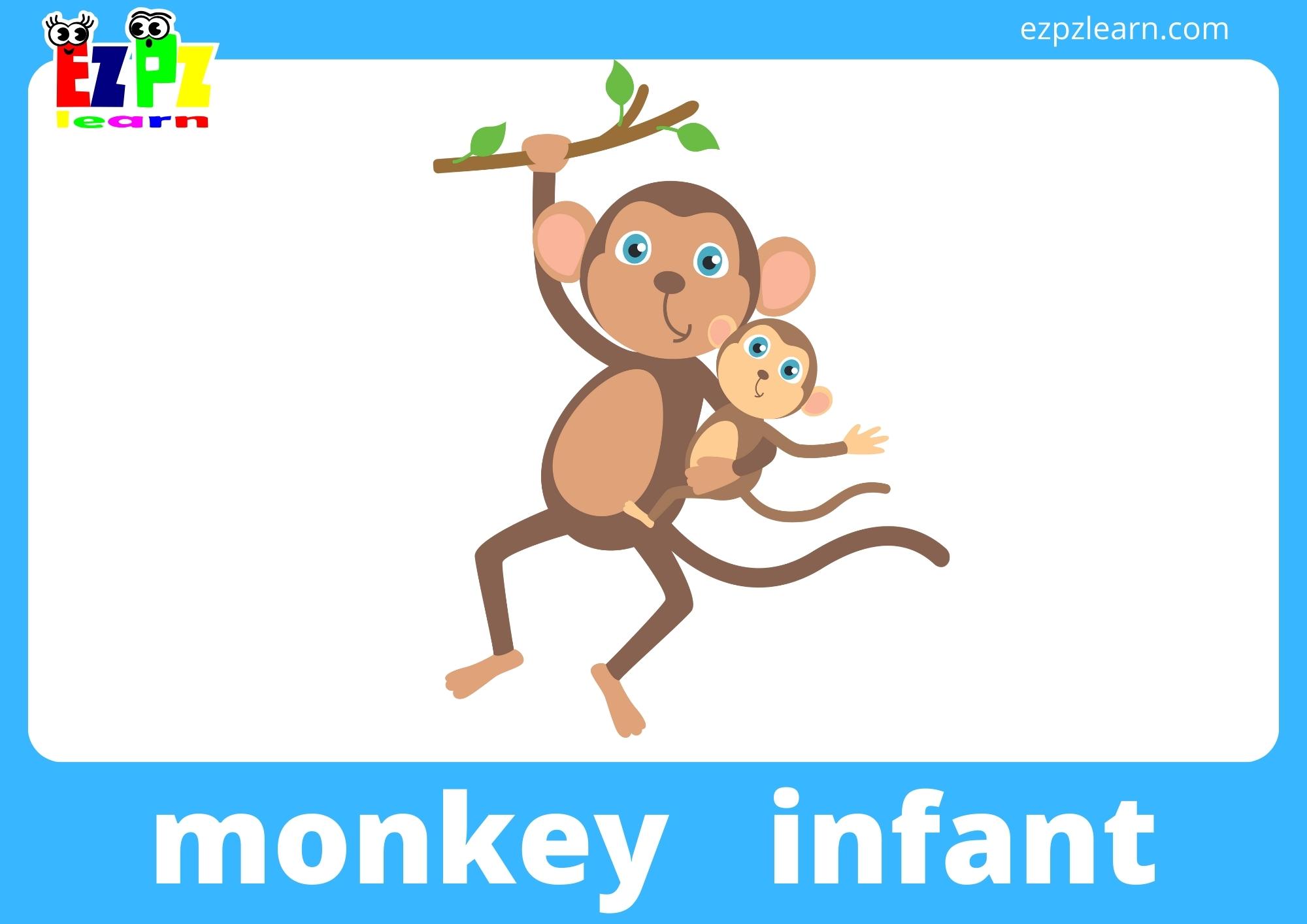 Animals and Their Young Flashcards for Kindergarten and English ...