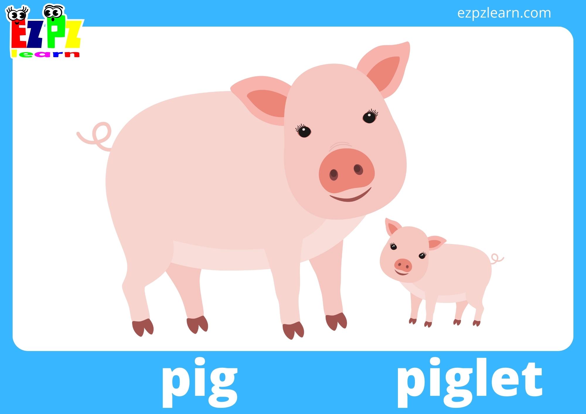 Animals and Their Young Flashcards for Kindergarten and English ...