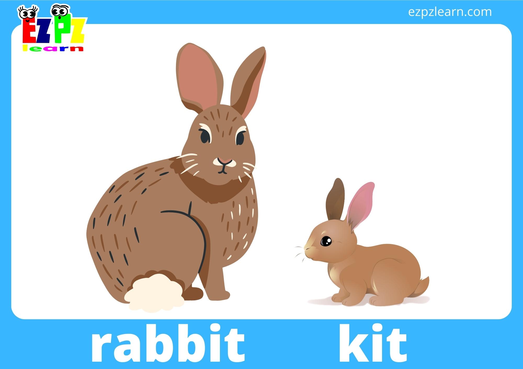 Animals and Their Young Flashcards for Kindergarten and English ...