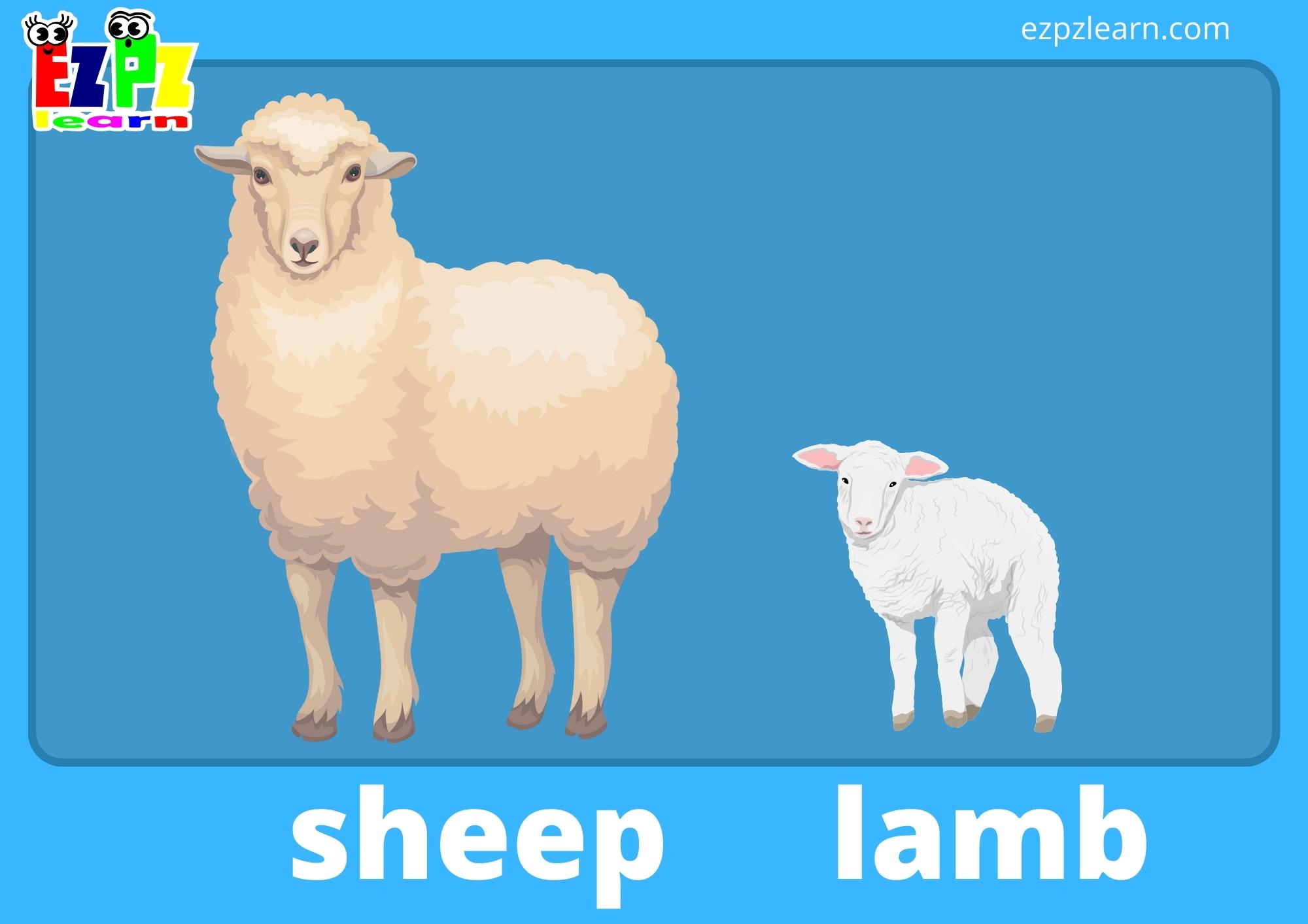 Animals and Their Young Flashcards for Kindergarten and English ...