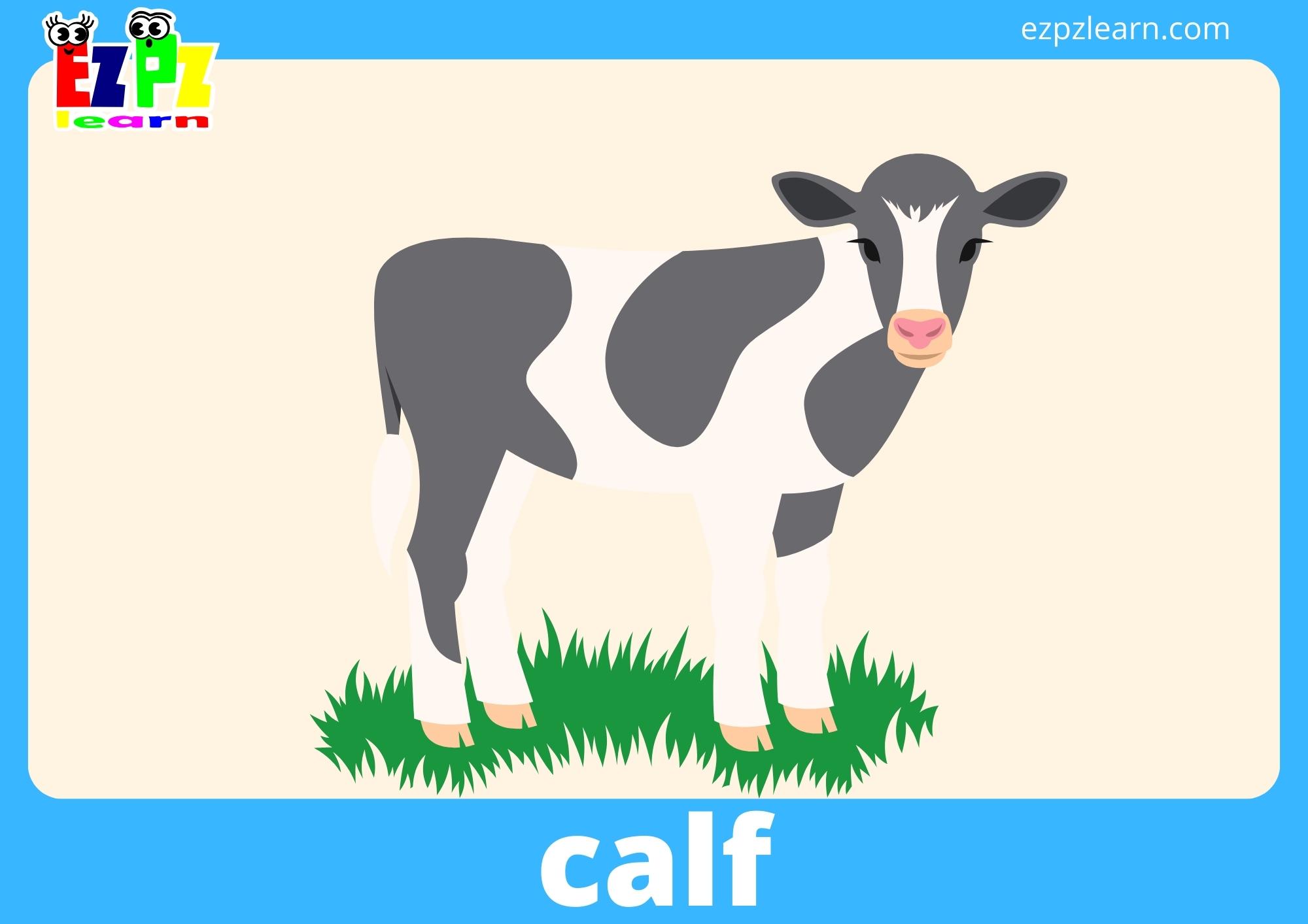 Baby Animals Vocabulary Flashcards for English Language Learners and ...