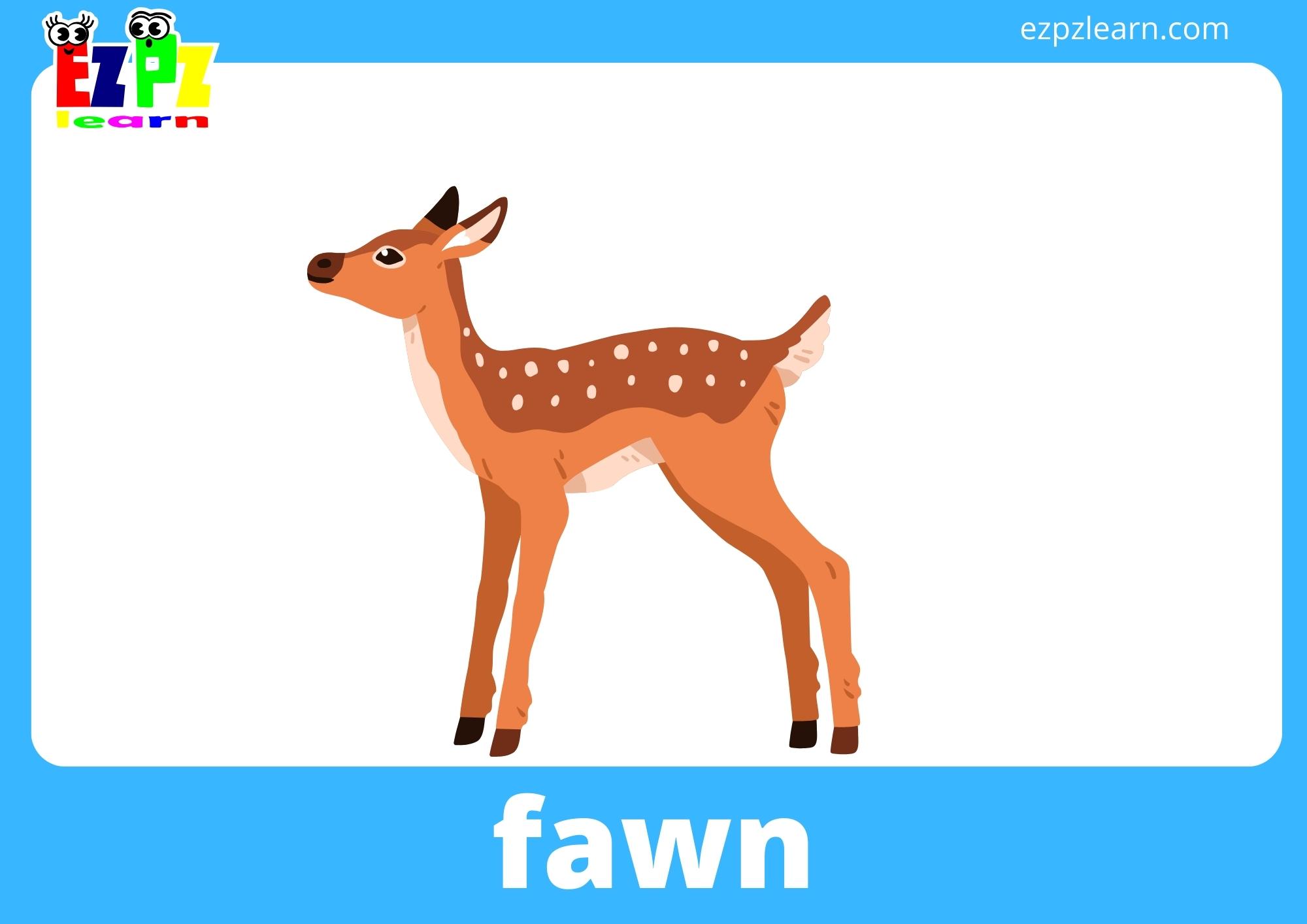 Baby Animals Vocabulary Word Scramble. Spelling game for kids and ...