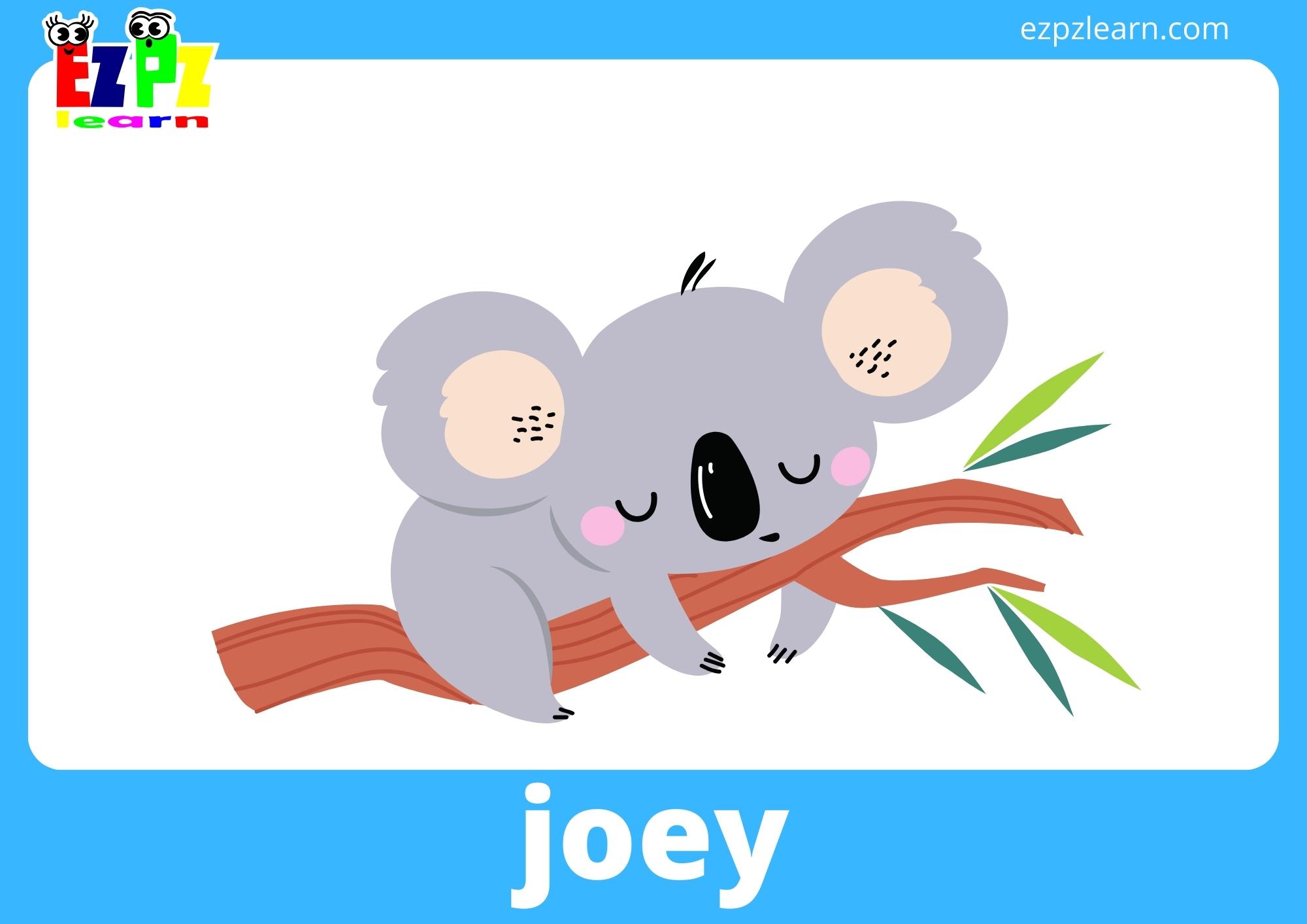 Baby Animals Vocabulary Flashcards for English Language Learners and ...