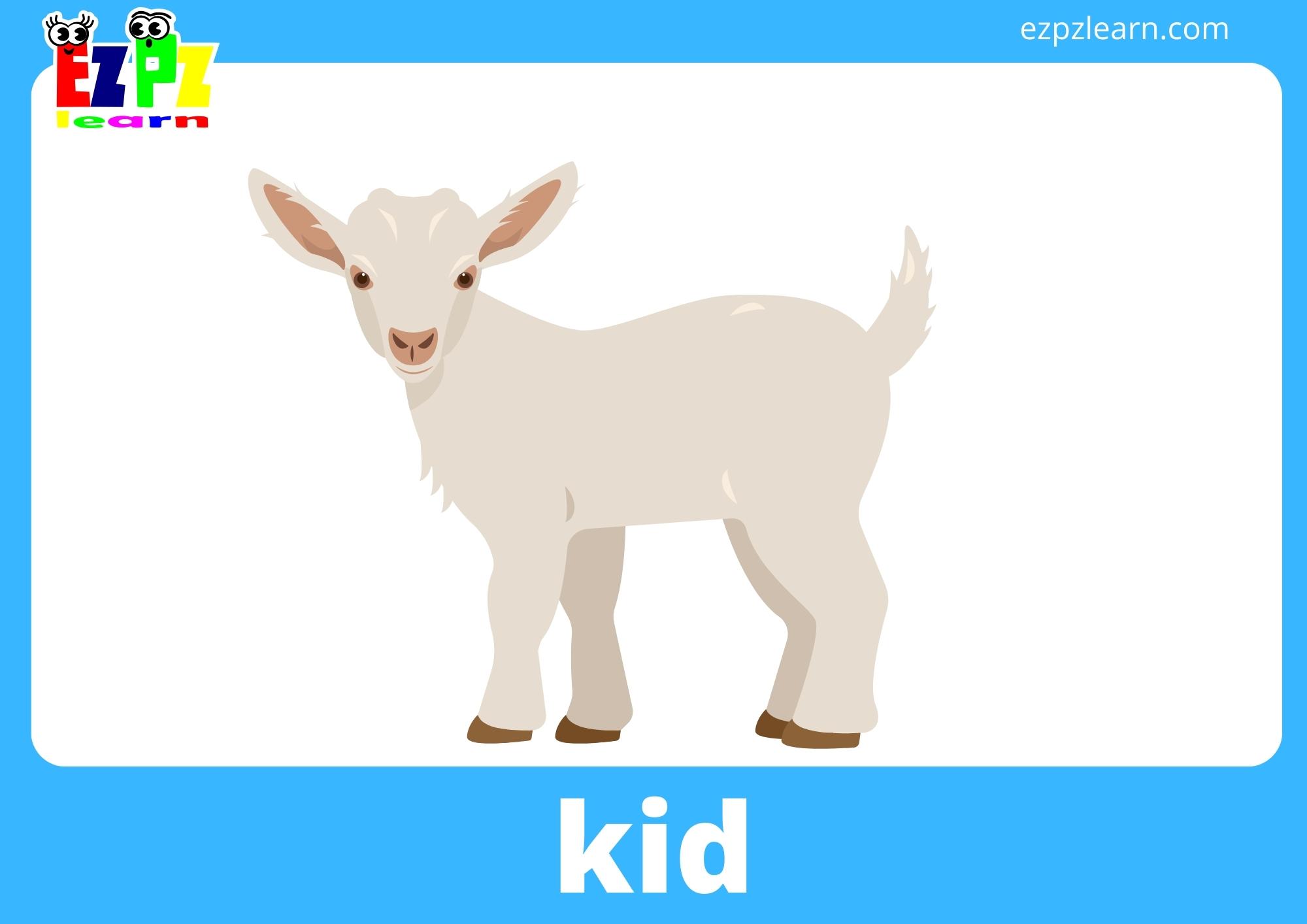 Baby Animals Vocabulary Flashcards for English Language Learners and ...