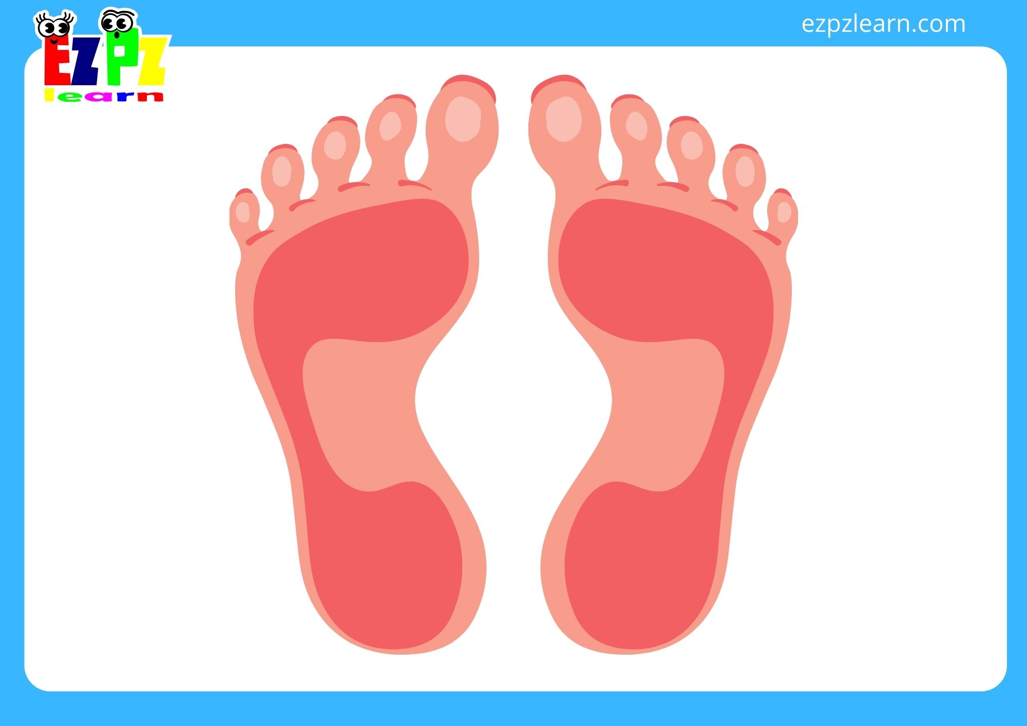 Body Parts Flashcards No Words View Online or PDF Download - Ezpzlearn.com