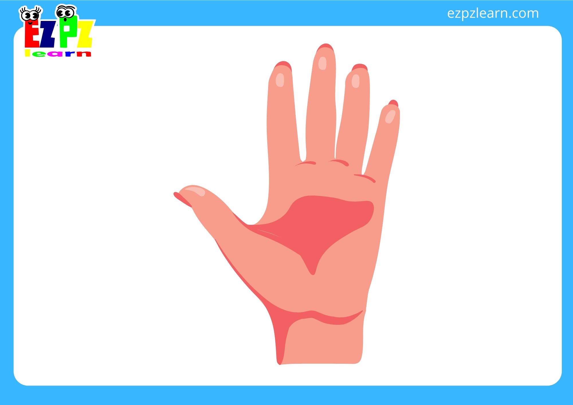 Body Parts Flashcards No Words View Online or PDF Download - Ezpzlearn.com