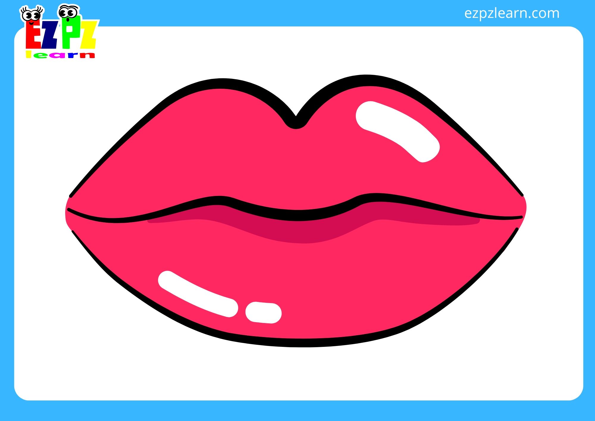 Body Parts Flashcards No Words View Online or PDF Download - Ezpzlearn.com