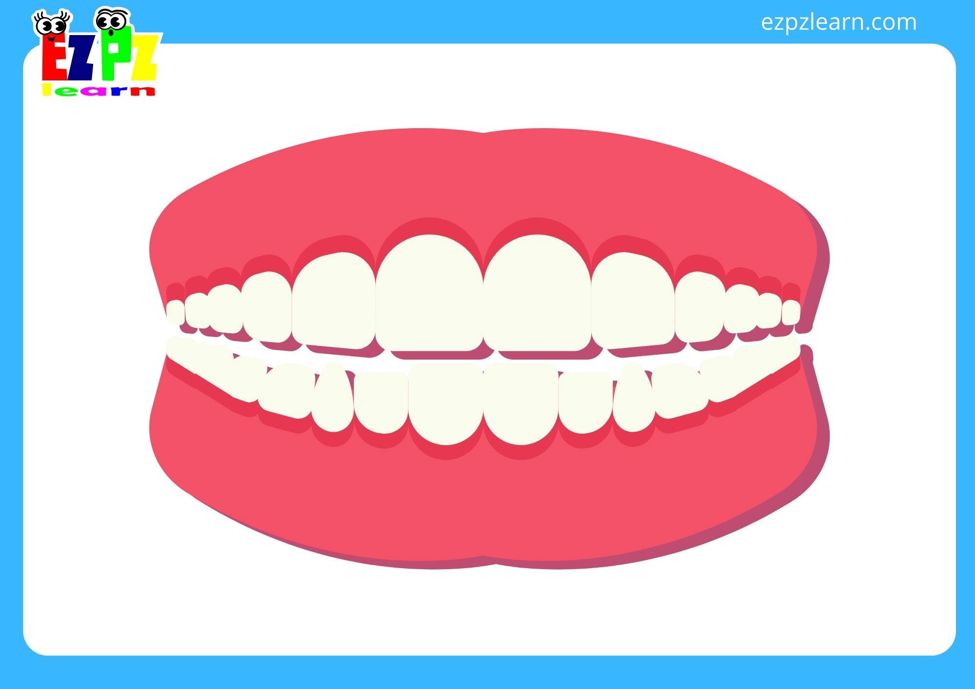 Body Parts Flashcards No Words View Online or PDF Download - Ezpzlearn.com