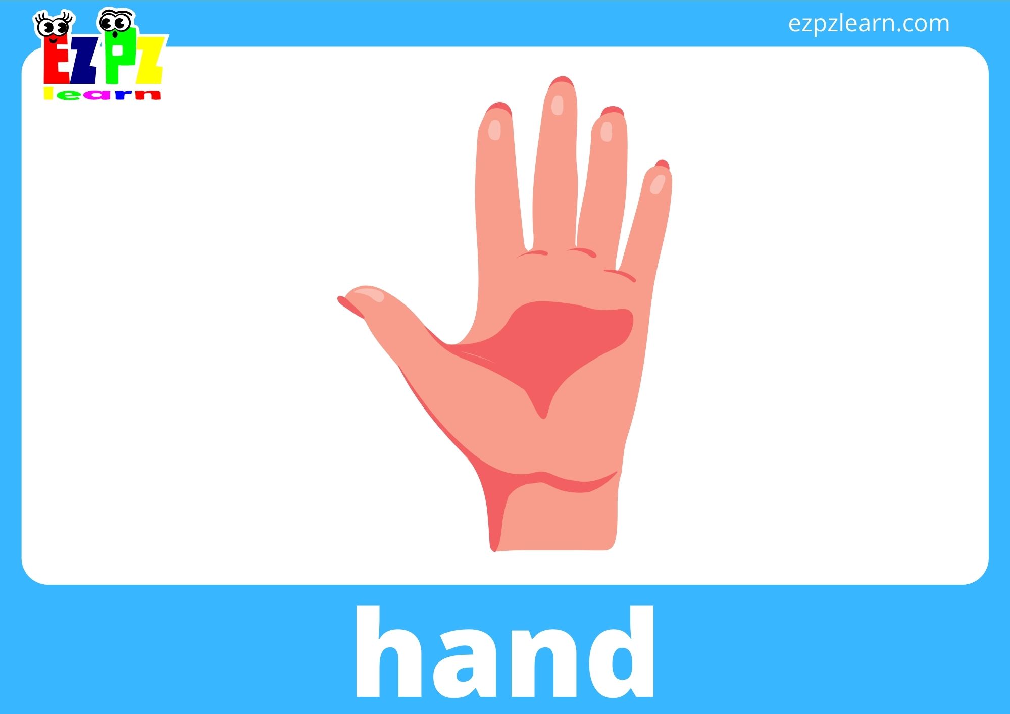 Body Parts Flashcards With Words View Online or PDF Download ...