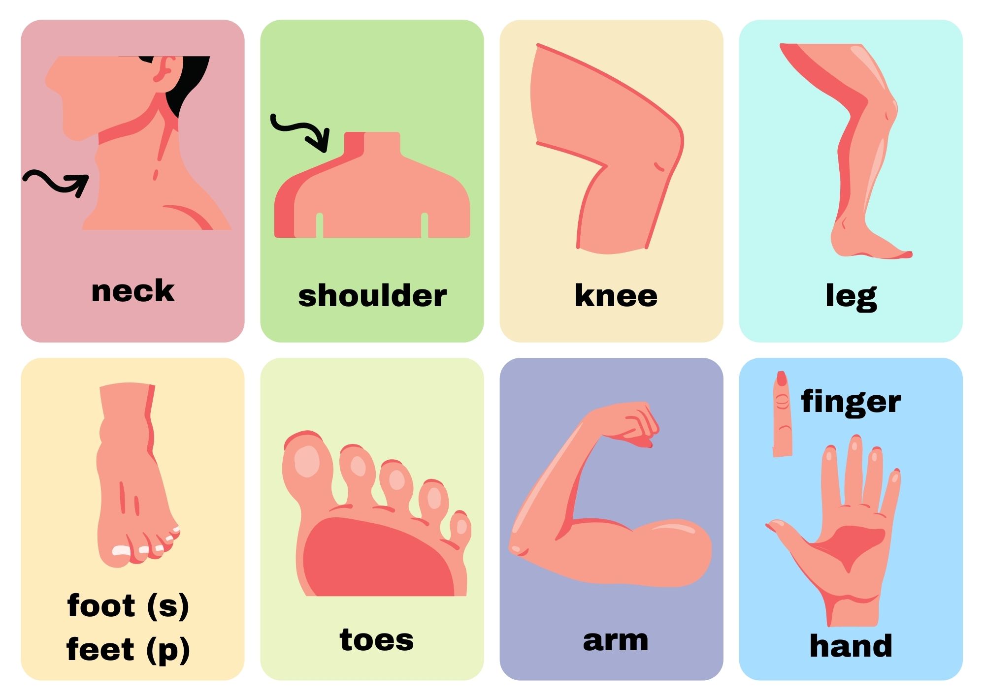 Body Parts Flashcards With Words View Online or PDF Download ...