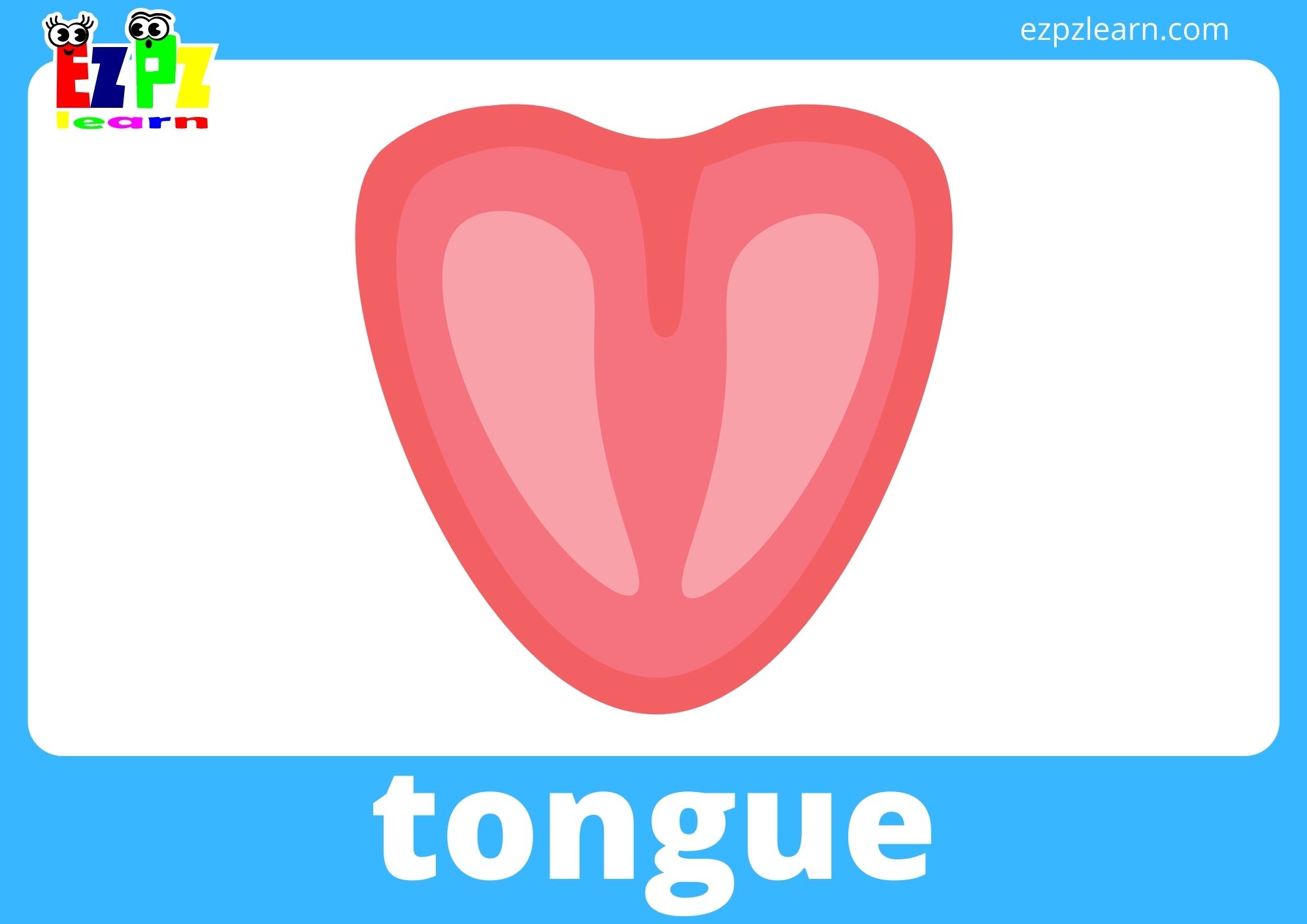 Body Parts Flashcards With Words View Online or PDF Download ...