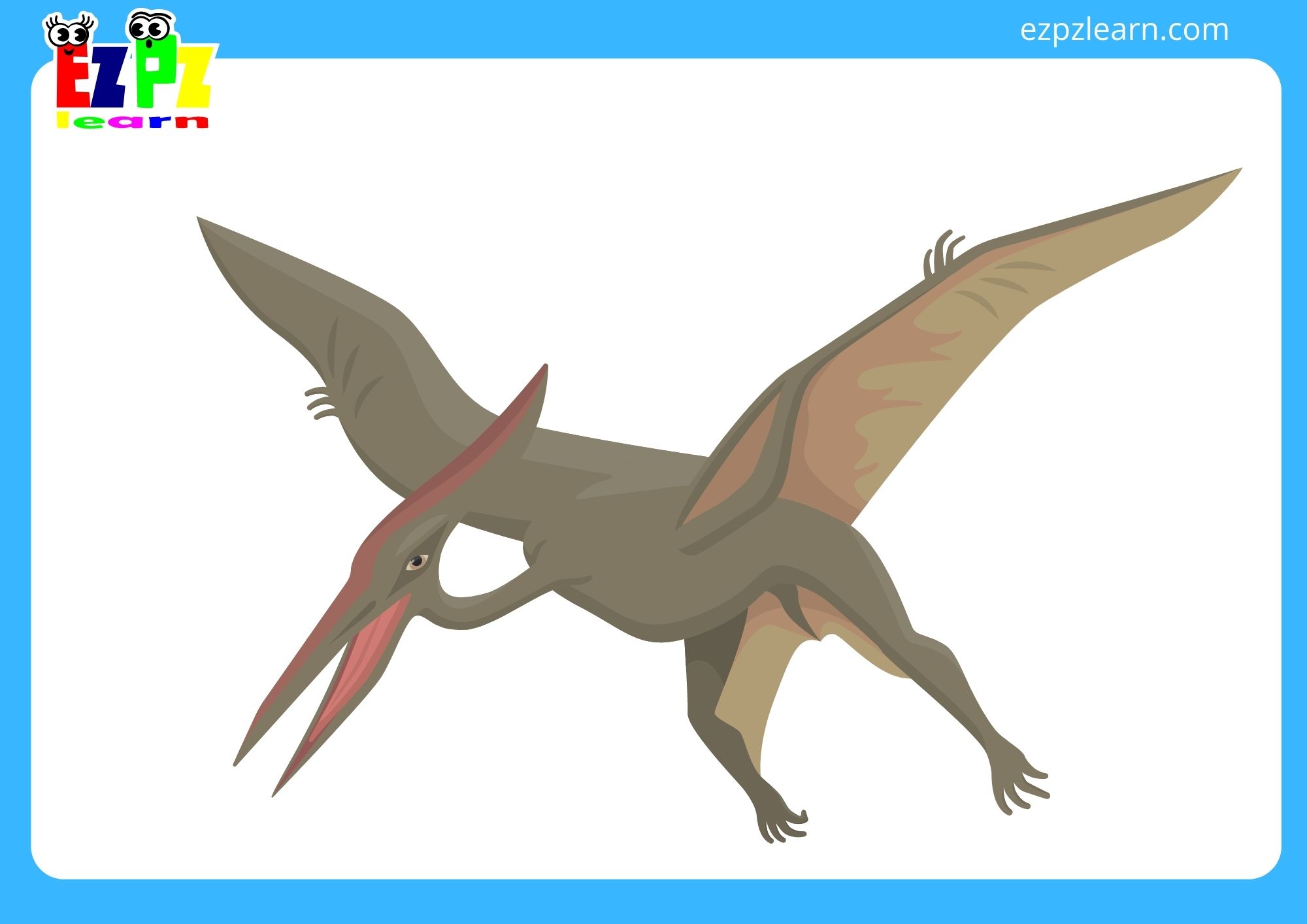 Dinosaur Flashcards No Words View Online or Free PDF Download ...