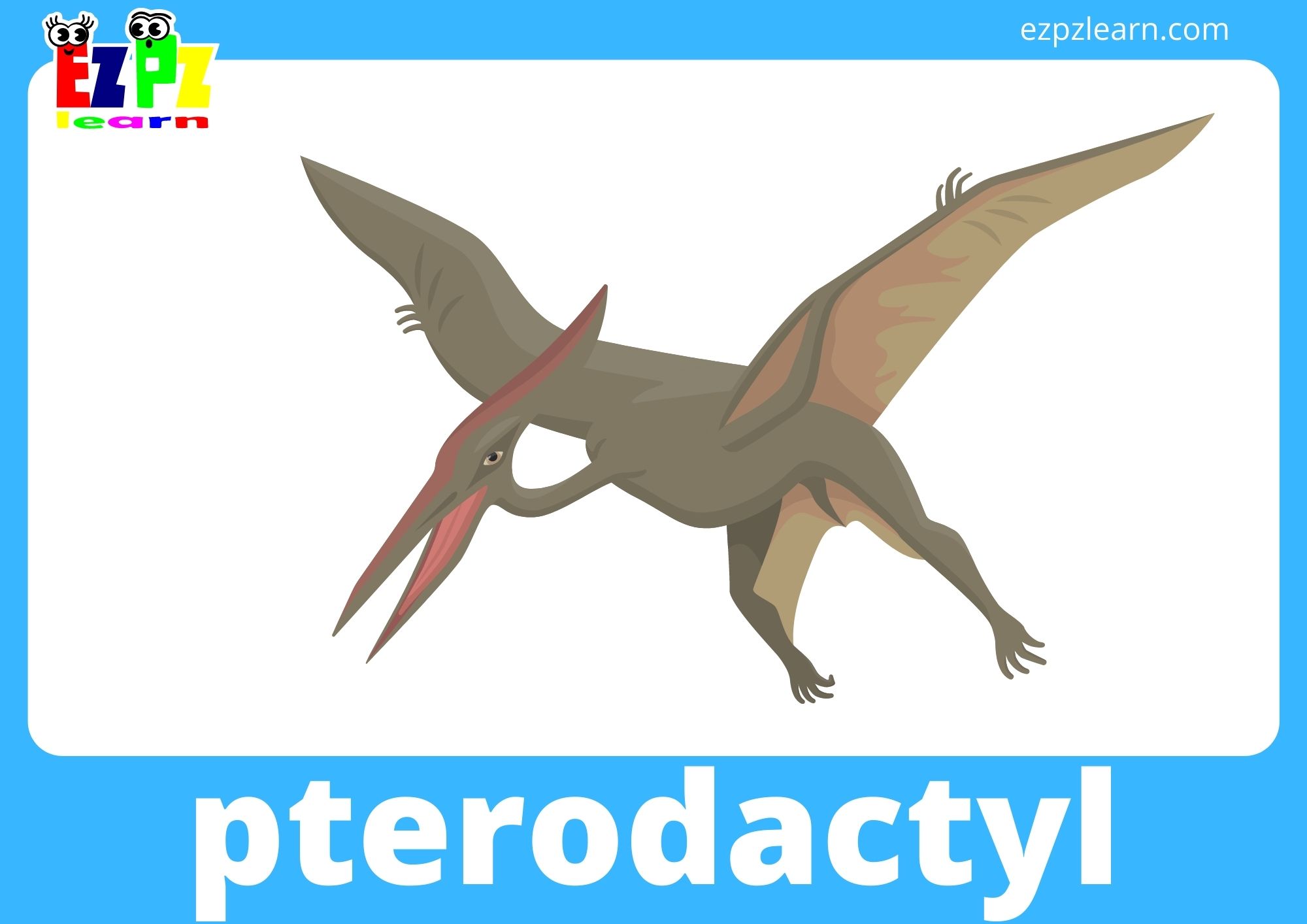 Dinosaur Flashcards With Words View Online or Free PDF Download ...