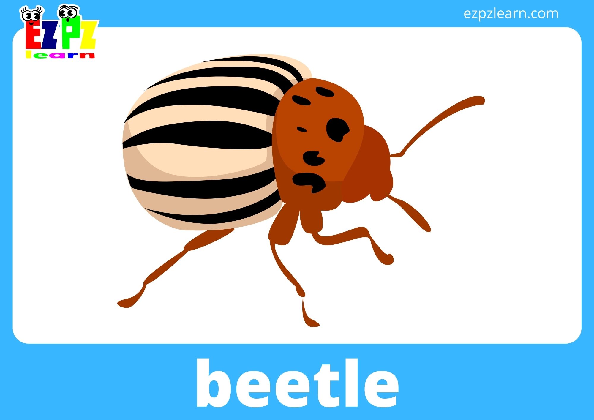 Insects & Bugs Flashcards With Words View Online or Free PDF Download ...