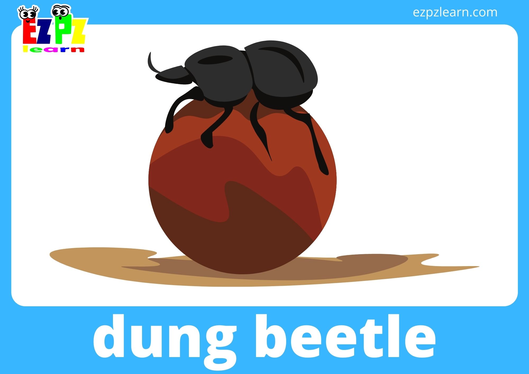 Insects & Bugs Flashcards With Words View Online or Free PDF Download ...