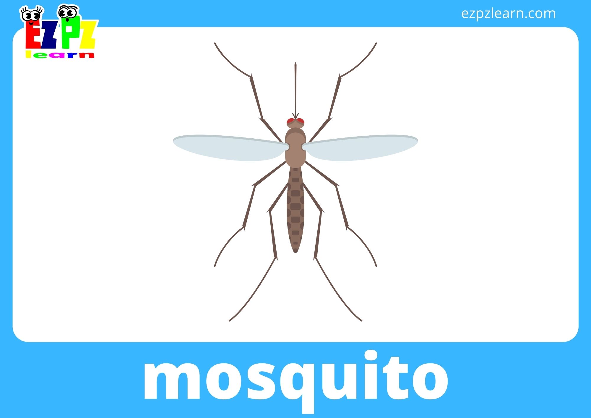 Insects & Bugs Flashcards With Words View Online or Free PDF Download ...