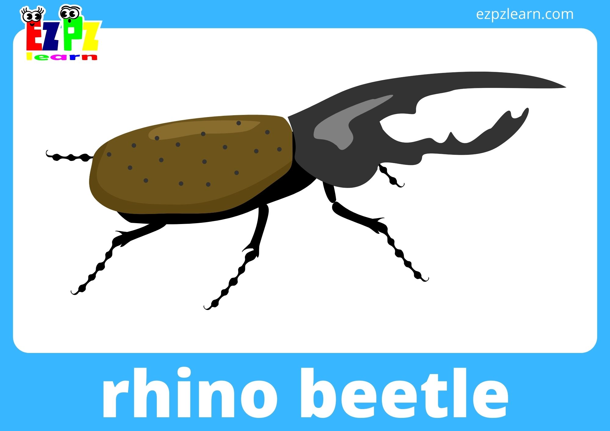 Insects & Bugs Flashcards With Words View Online or Free PDF Download ...