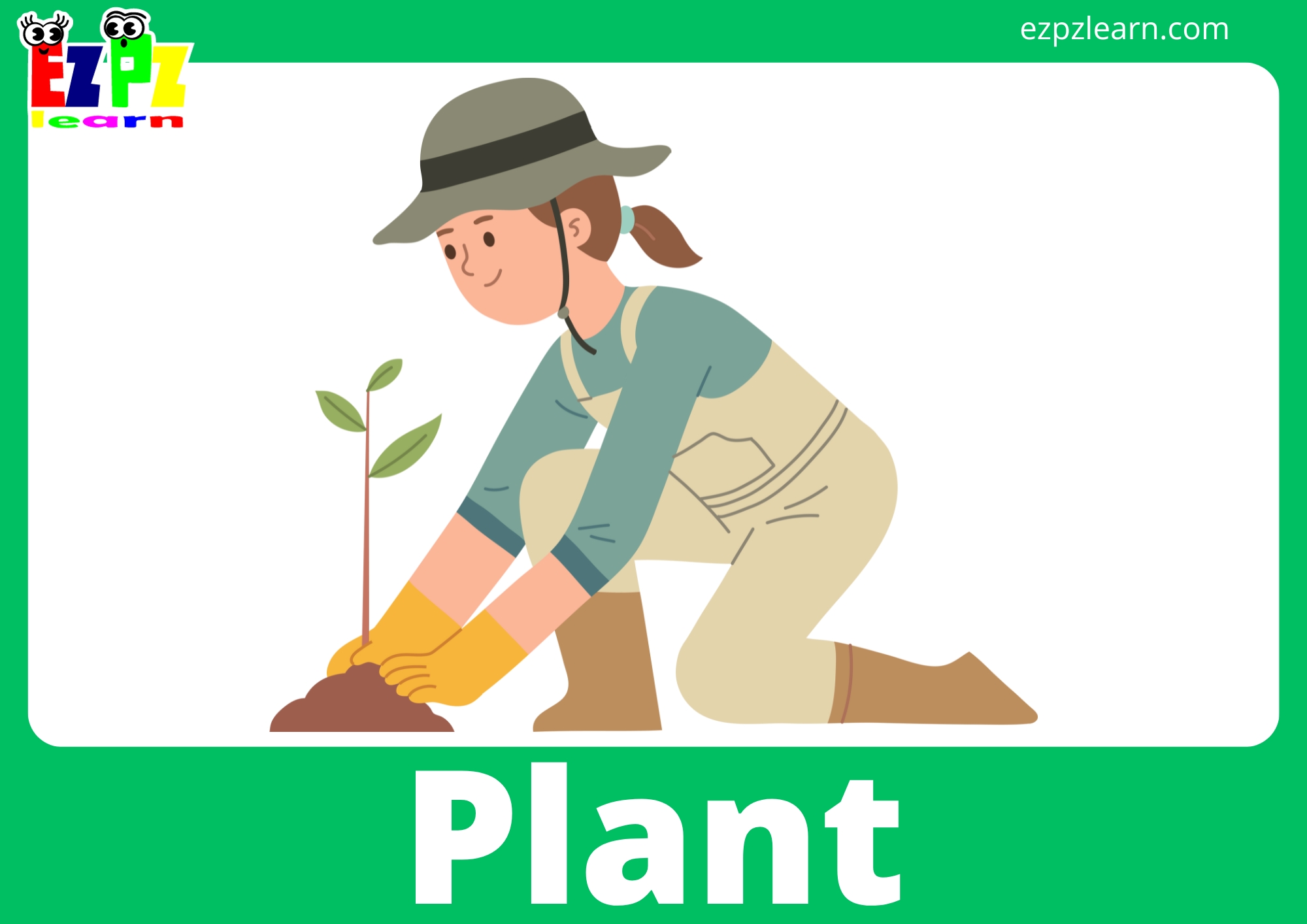 Plants Flashcards Free PDF Printable Download Part of a Plant. Things ...