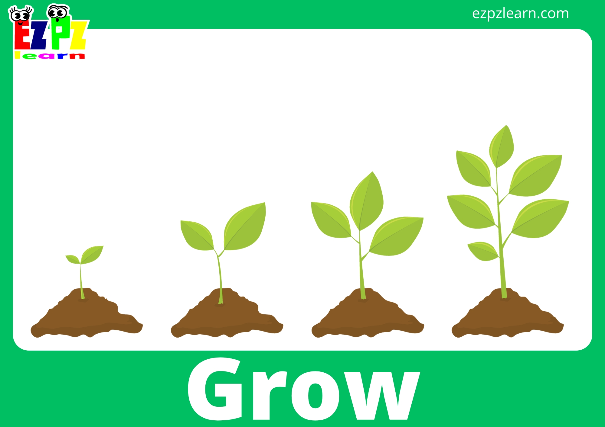 Plants Flashcards Free PDF Printable Download Part of a Plant. Things ...