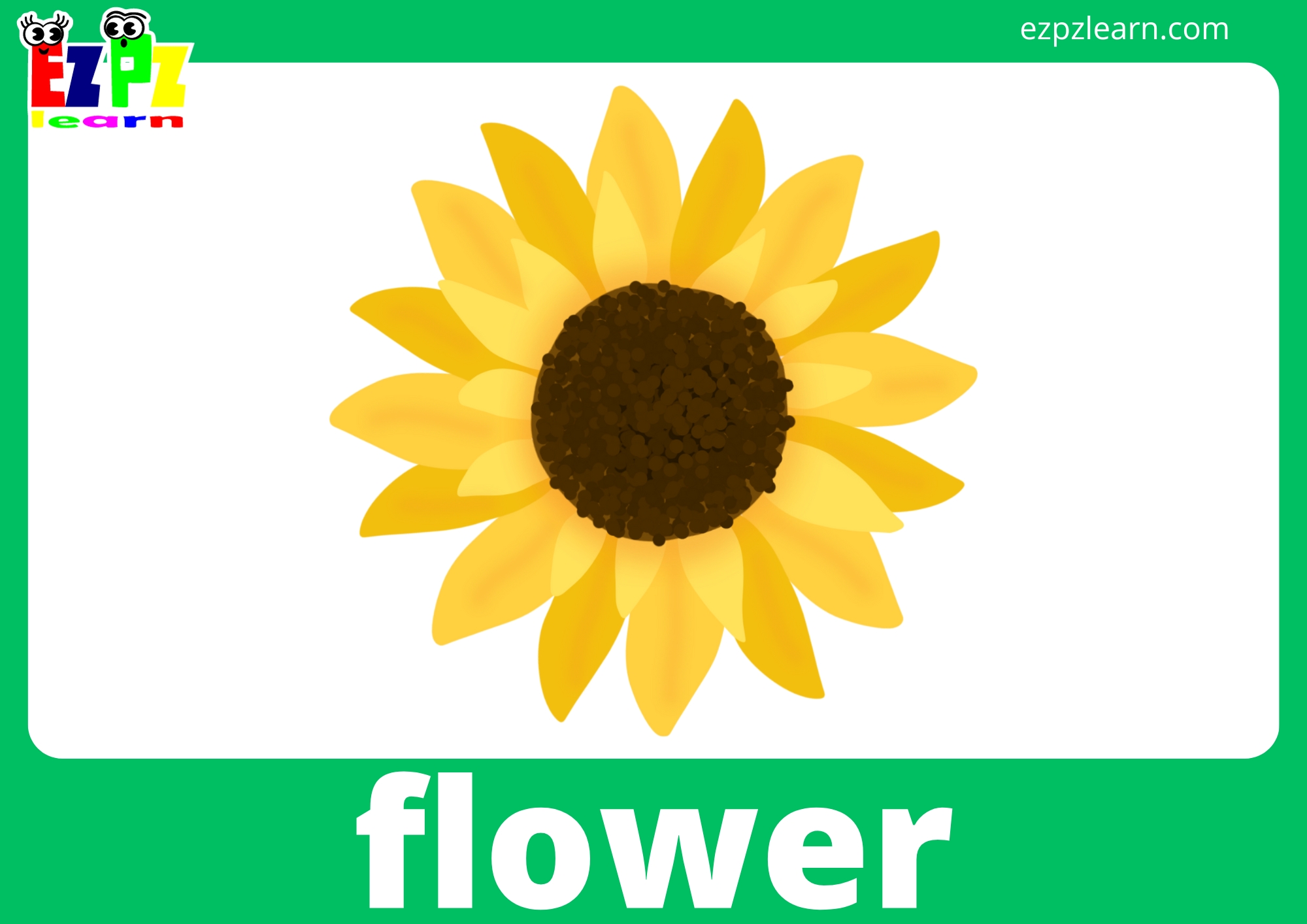 Plants Flashcards Free PDF Printable Download Part of a Plant. Things ...