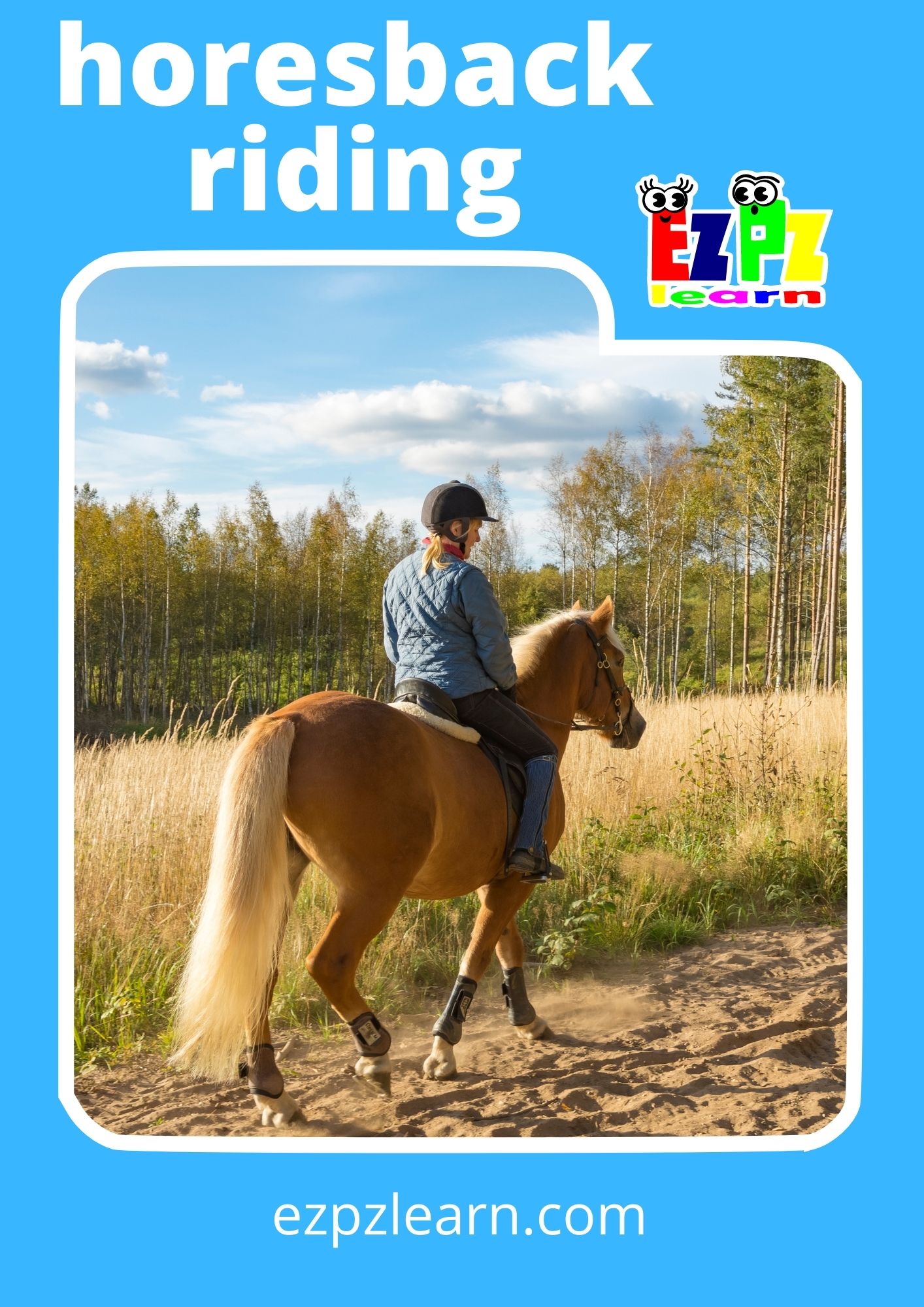 Horse Flashcards at Sam Vanthoff blog
