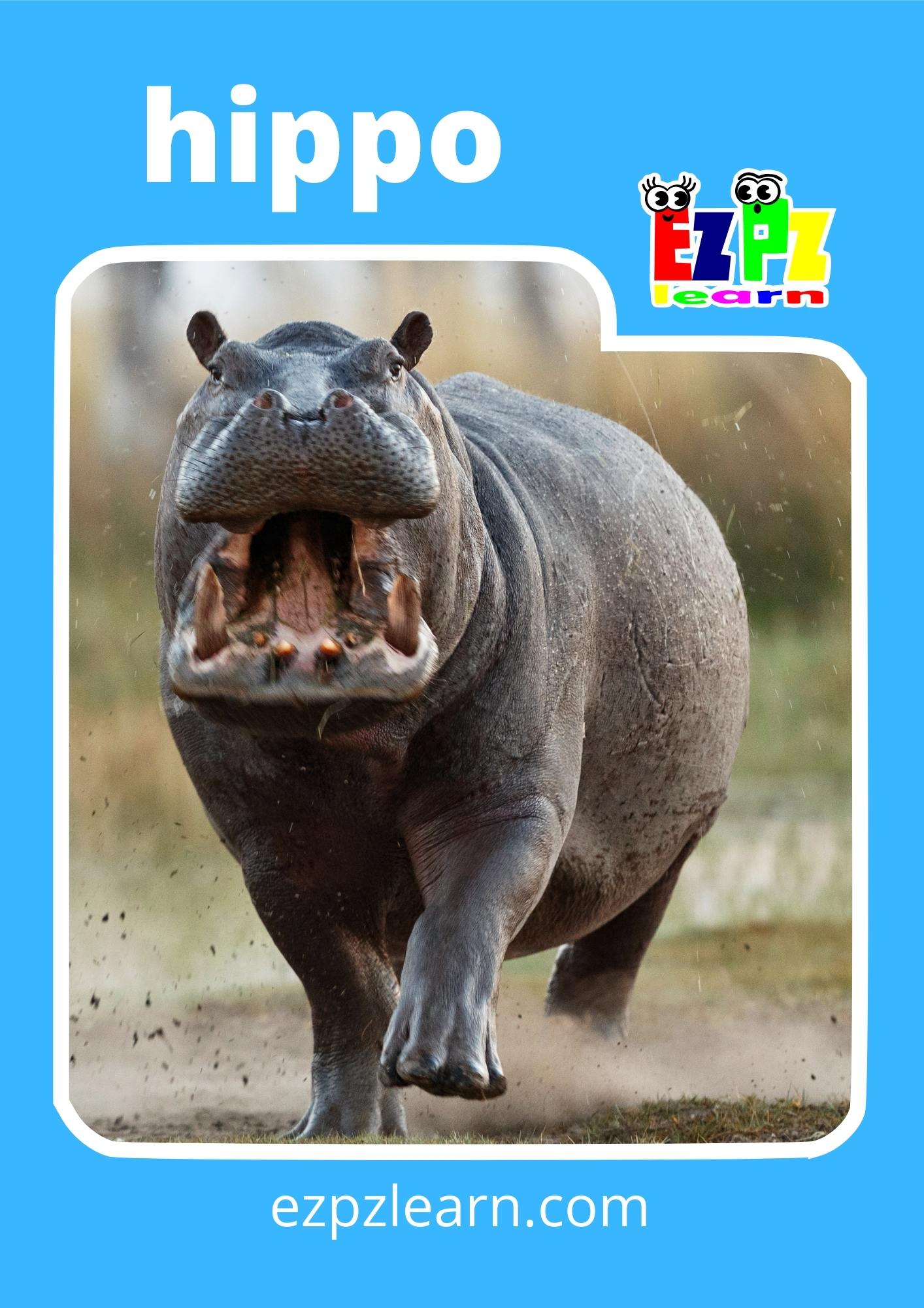 Wild Animals Flashcards with Photos Flashcards View Online or PDF ...