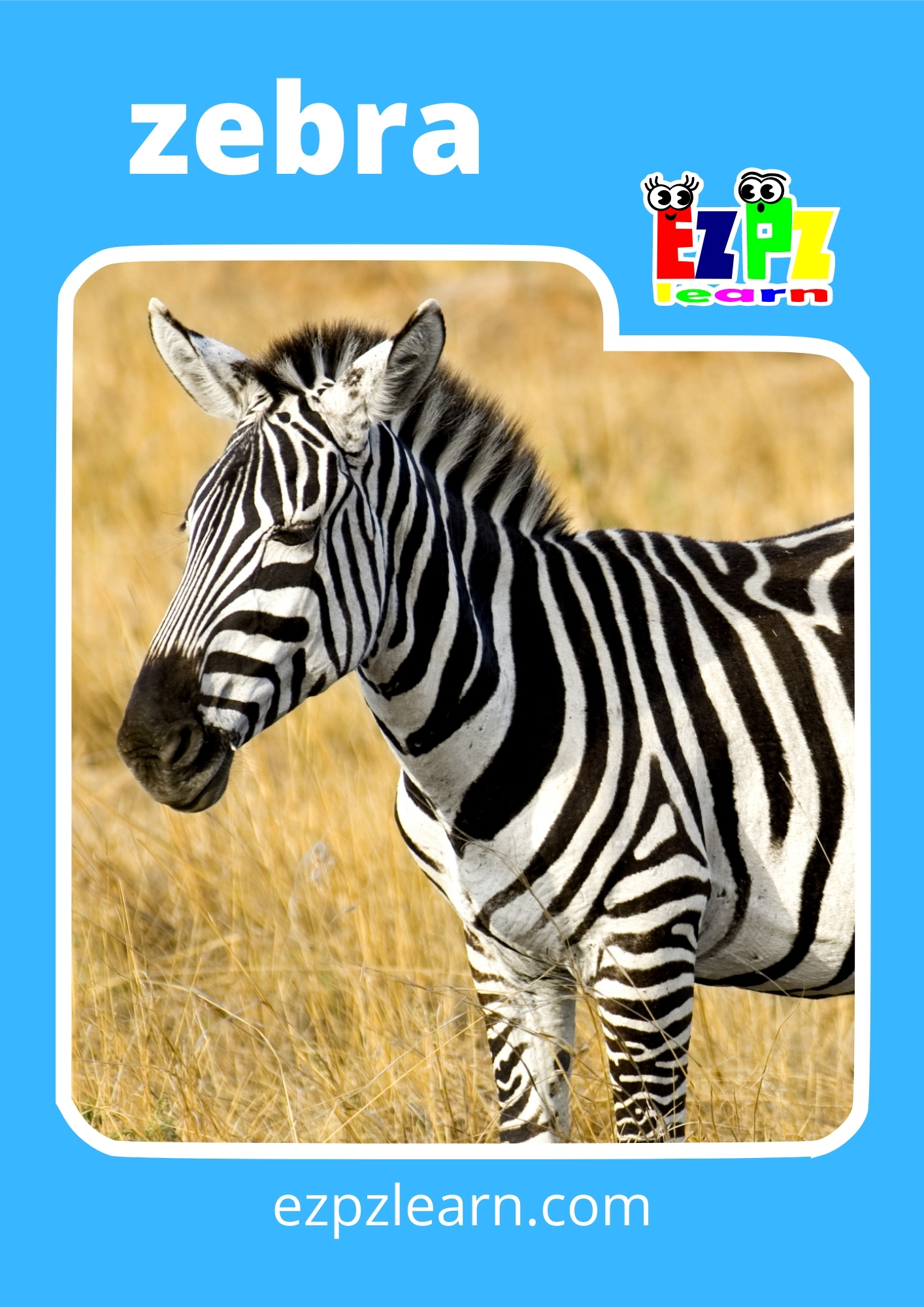 Wild Animals Flashcards with Photos Flashcards View Online or PDF ...