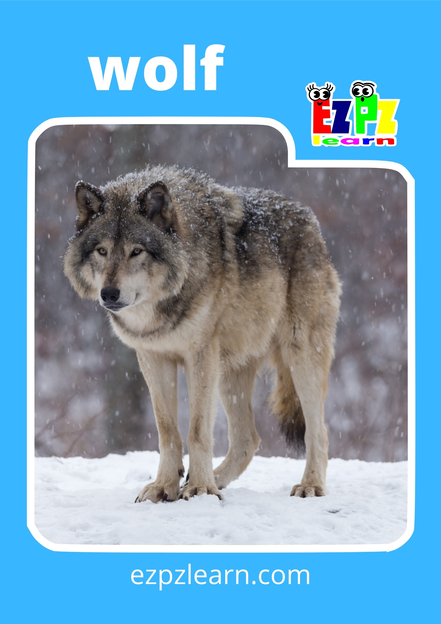 Wild Animals Flashcards with Photos Flashcards View Online or PDF ...