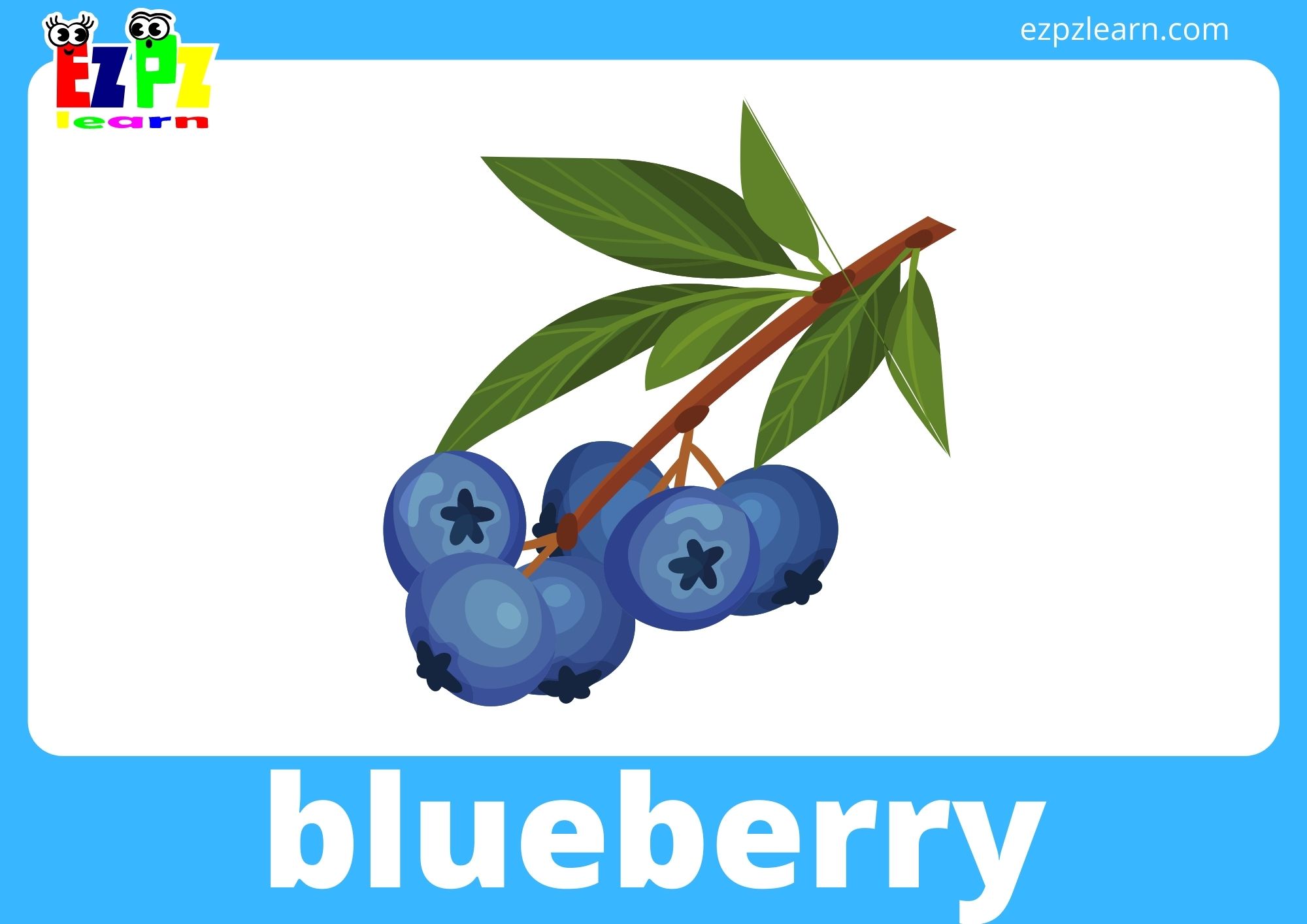 Fruit Flashcards with words use online or PDF download - Ezpzlearn.com
