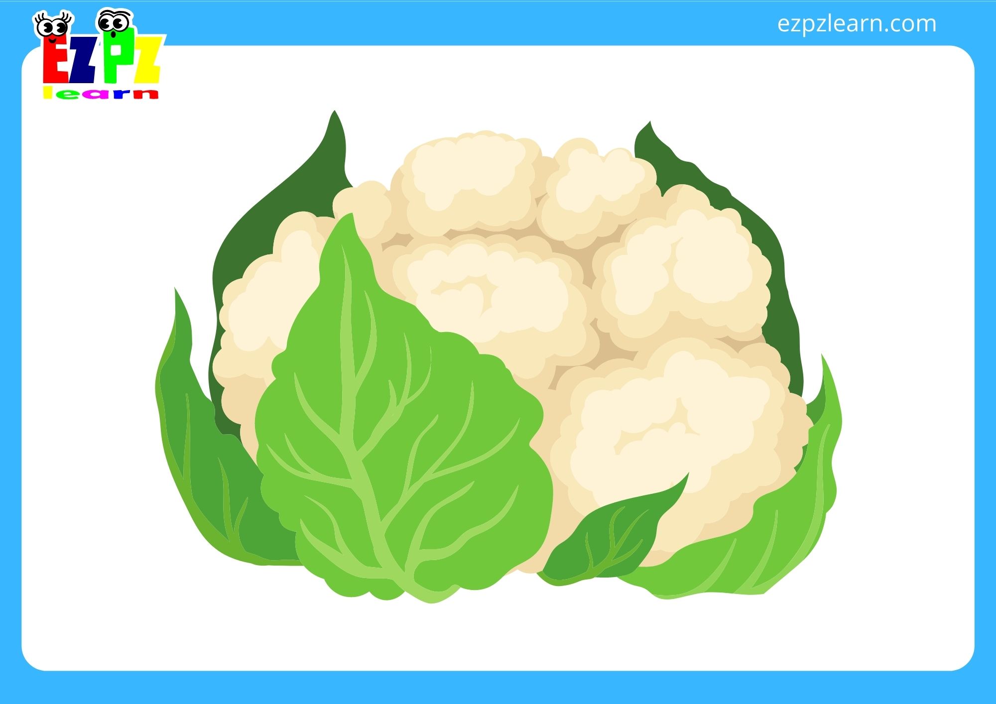 Vegetables Flashcards without words. Use online or free PDF download ...