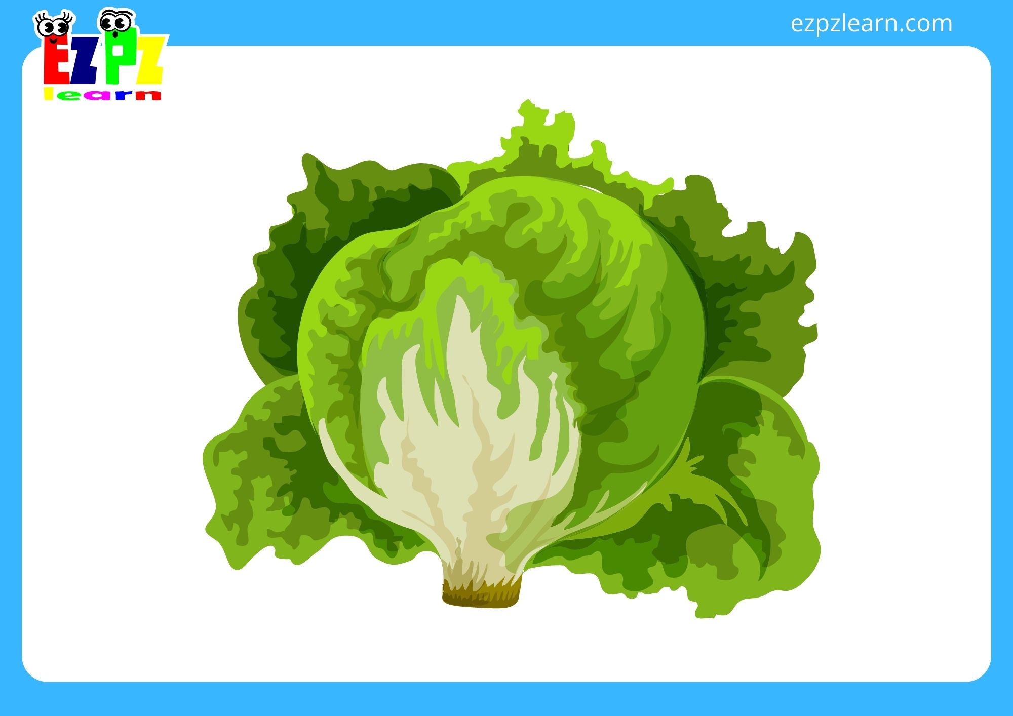 Vegetables Flashcards without words. Use online or free PDF download ...
