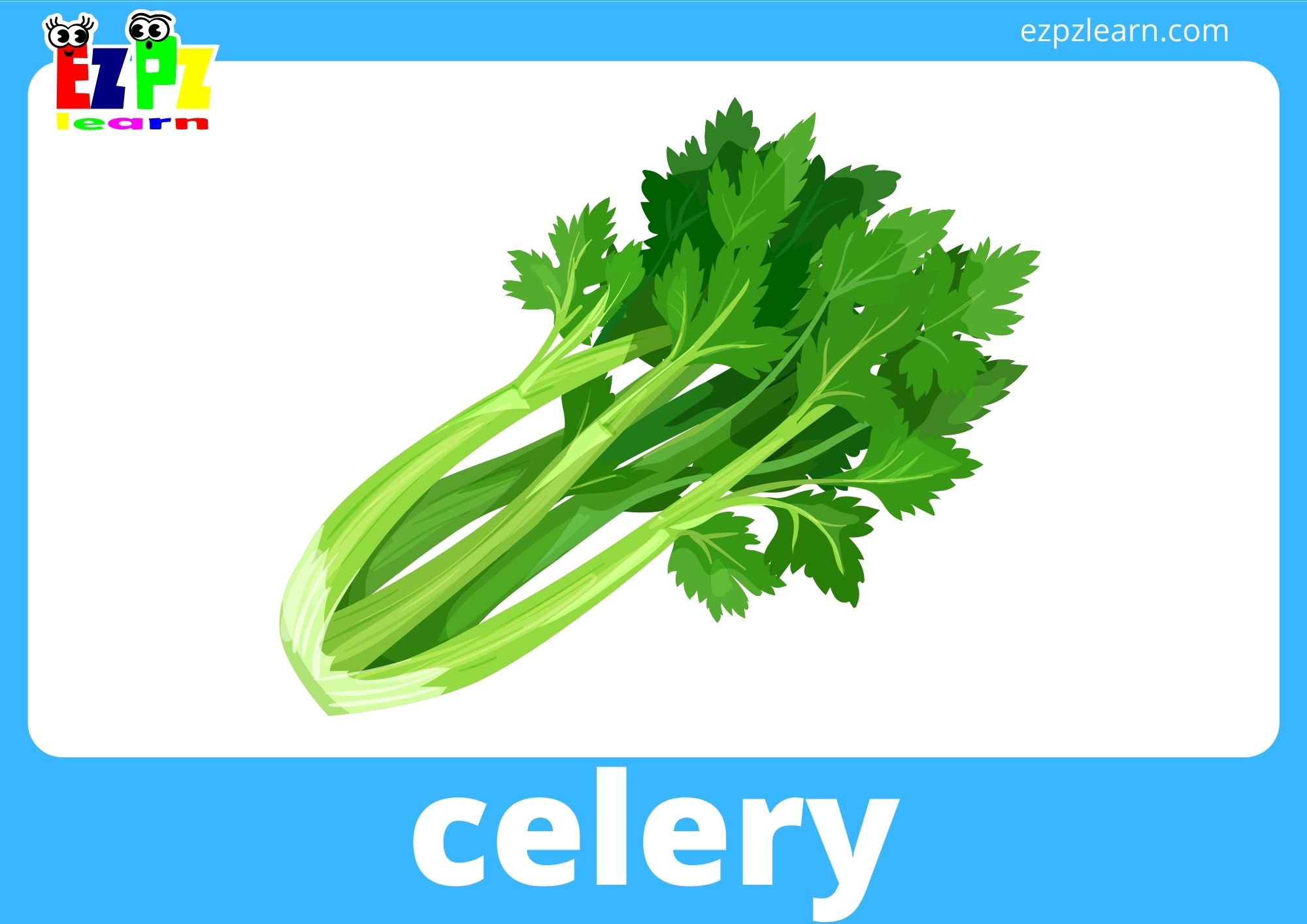 Vegetables Flashcards With Words use online or free PDF download ...